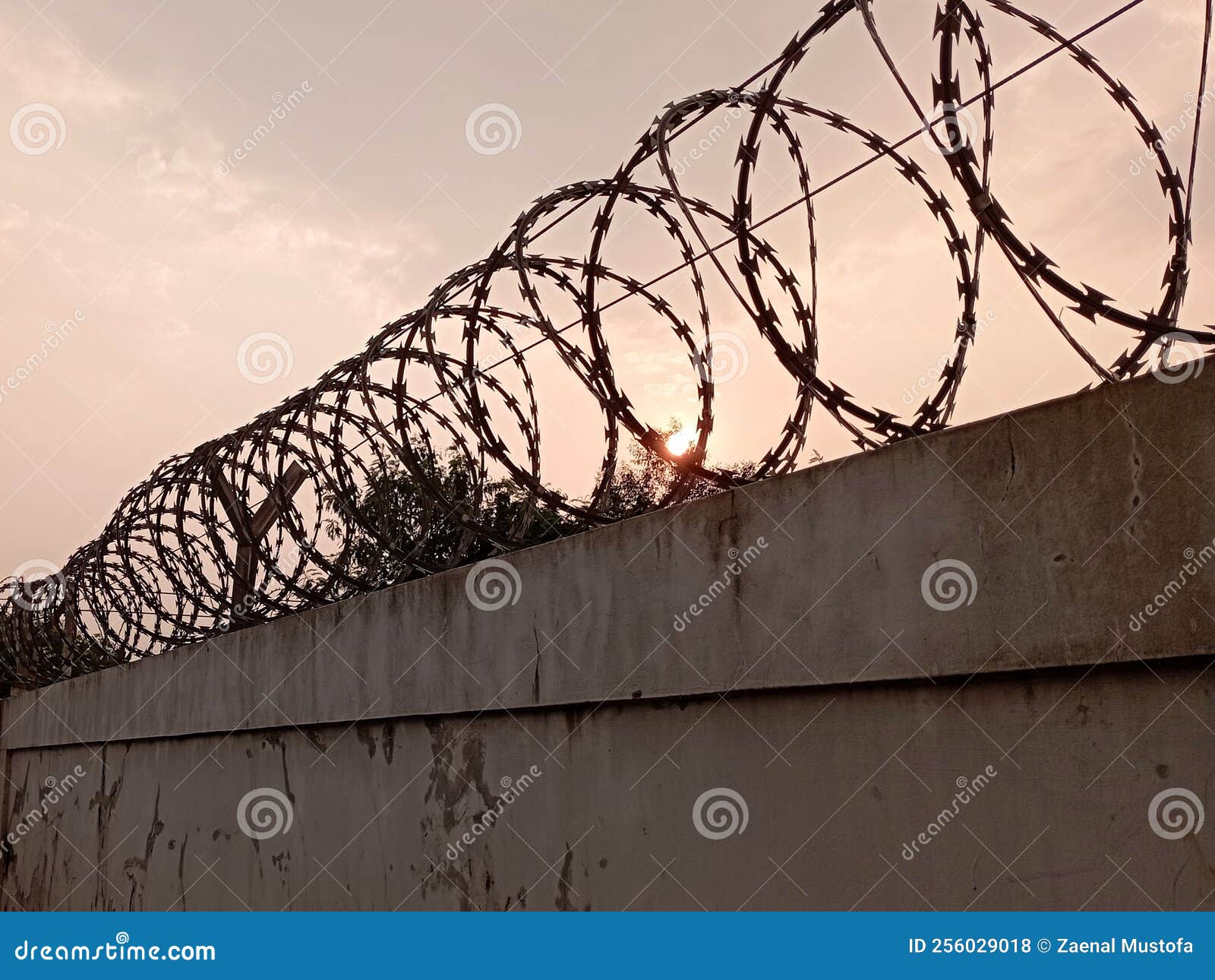 A Fence with Barbed Wire Guarding that Covers the Silhouette of the ...