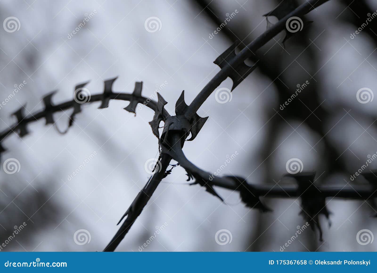 Barbed Wire. Sharp Barbwire on the Fence Stock Photo - Image of jail ...