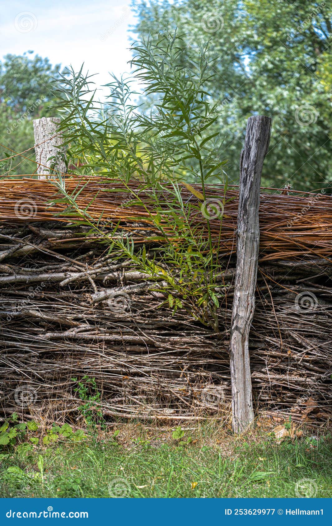 Fence stock image. Image of ornamental, grass, protection - 253629977