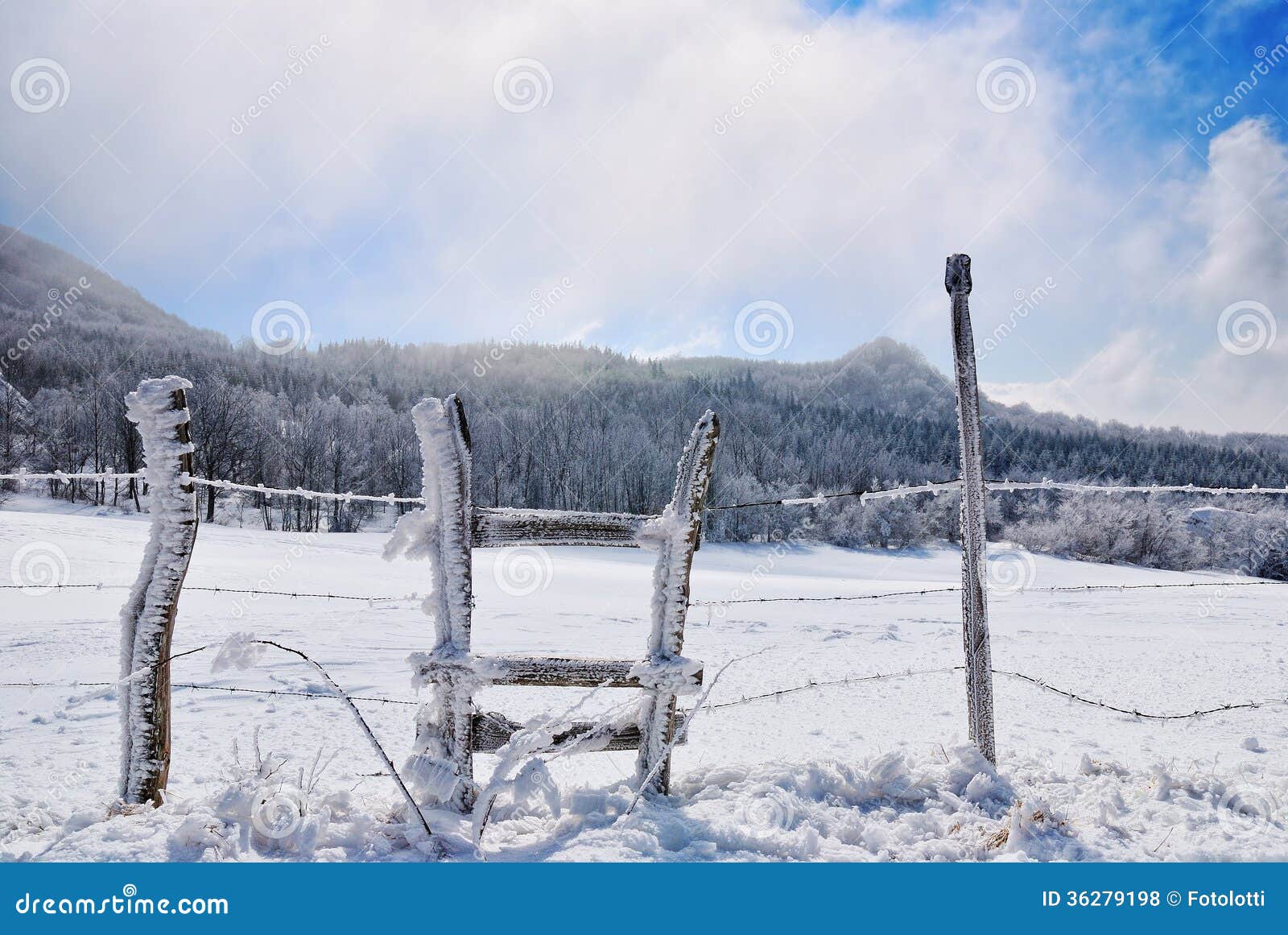 Fence covered with ice stock photo. Image of cool, countryside - 36279198