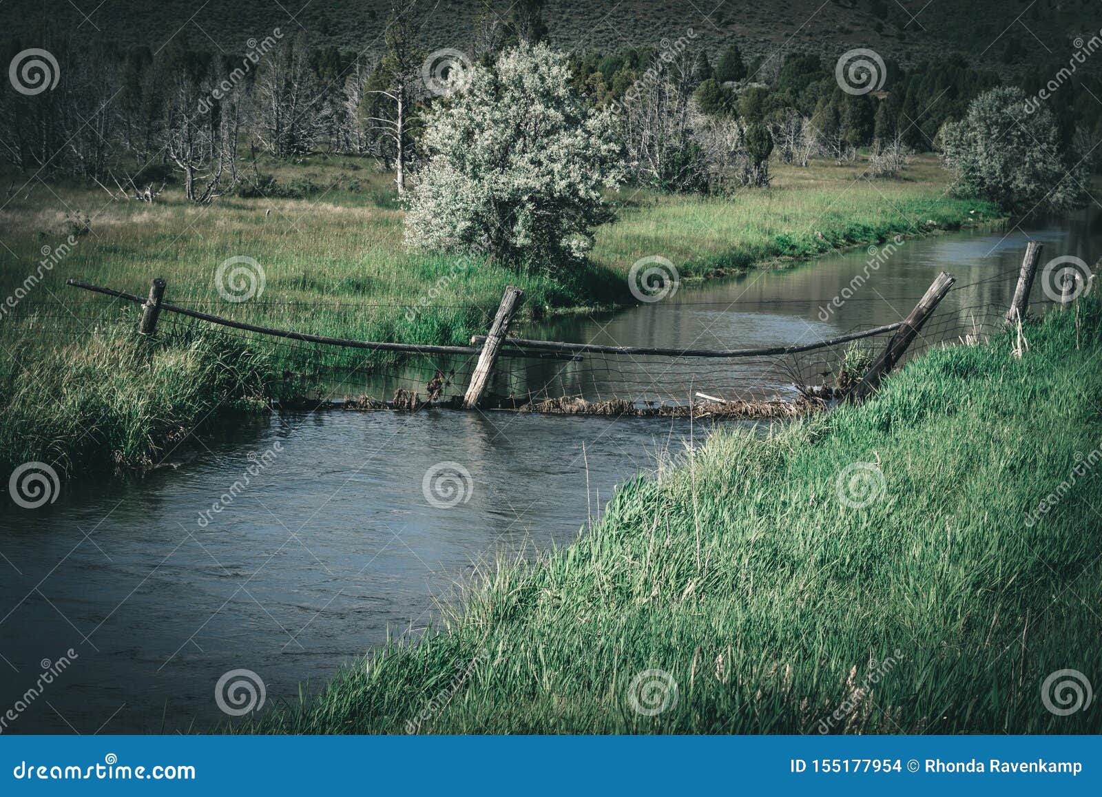 Broken Farm Fence Crossing River Stock Photo - Image of outdoors ...