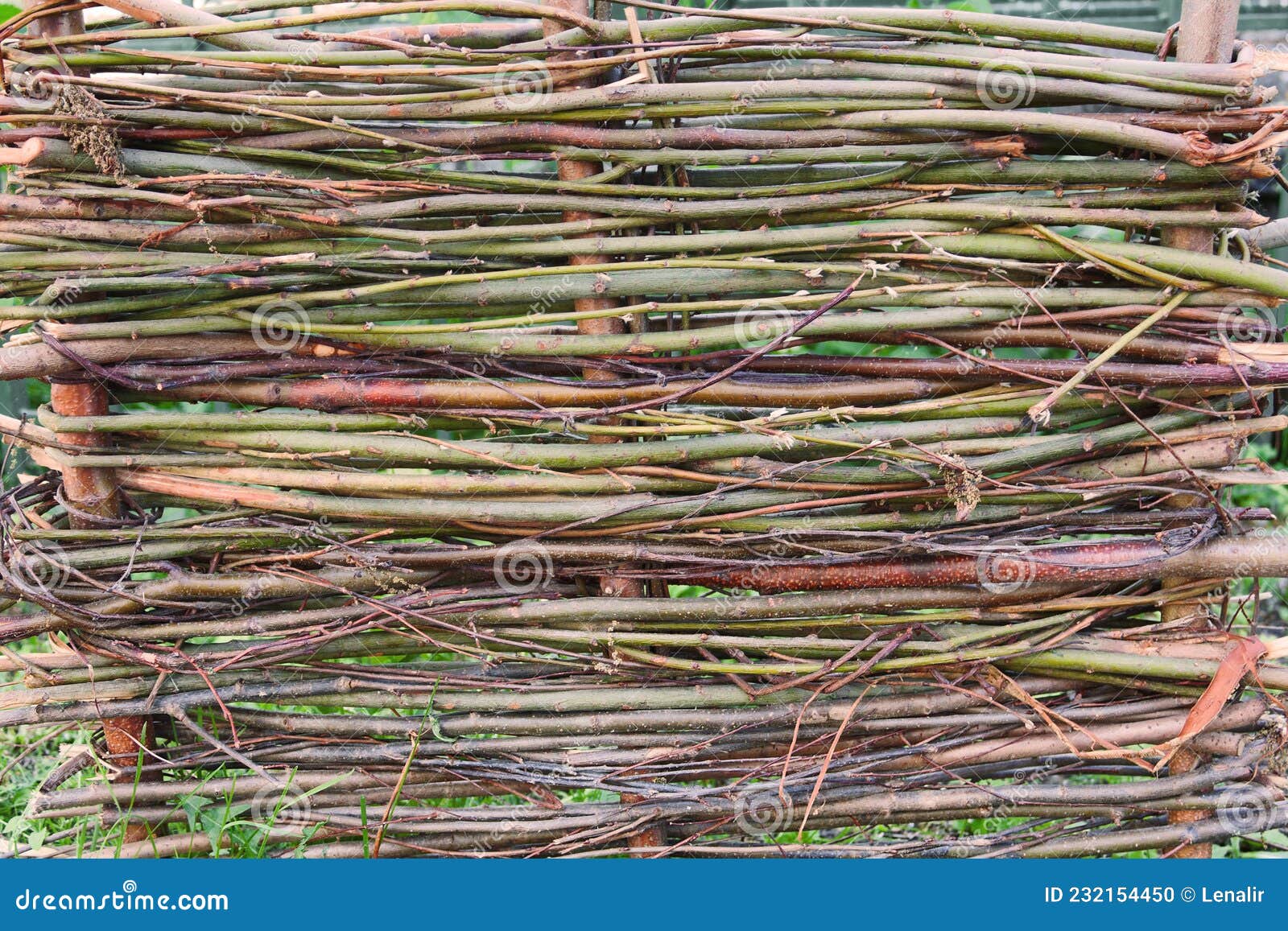 Fence dead hedge stock photo. Image of hedge, branch - 232154450