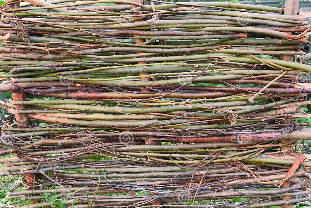 Fence dead hedge stock photo. Image of hedge, branch - 232154450