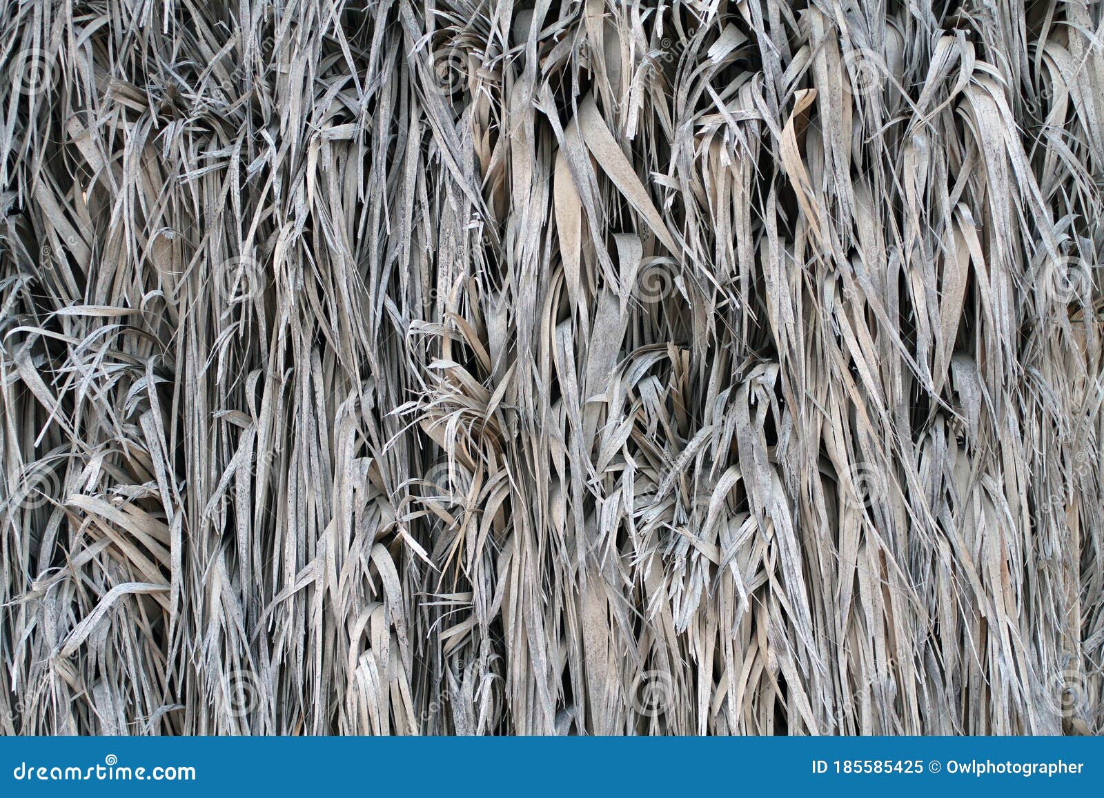 Dried Cane Pattern Interlaced Texture Stock Photo | CartoonDealer.com ...