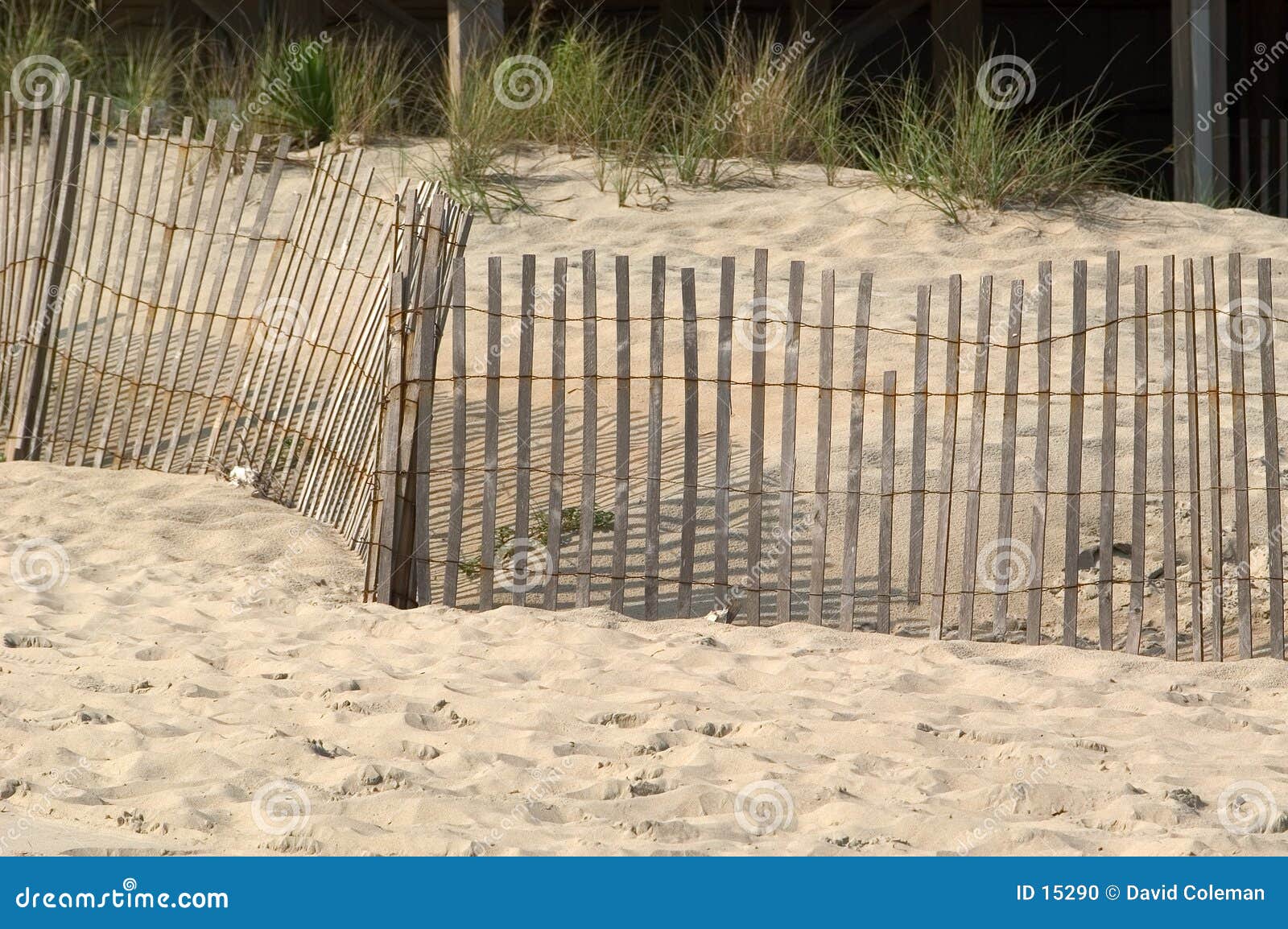 Fence in the Dunes stock photo. Image of carolina, beach - 15290