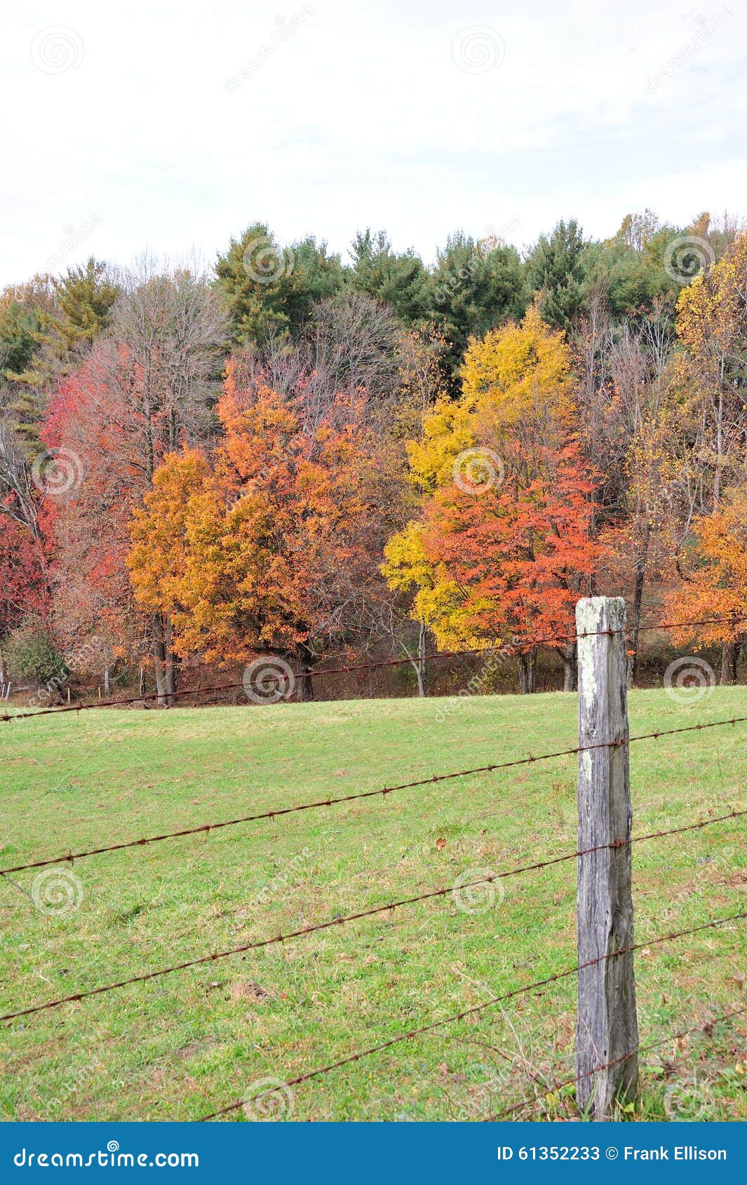 Fence in fall stock image. Image of line, nature, leaf - 61352233
