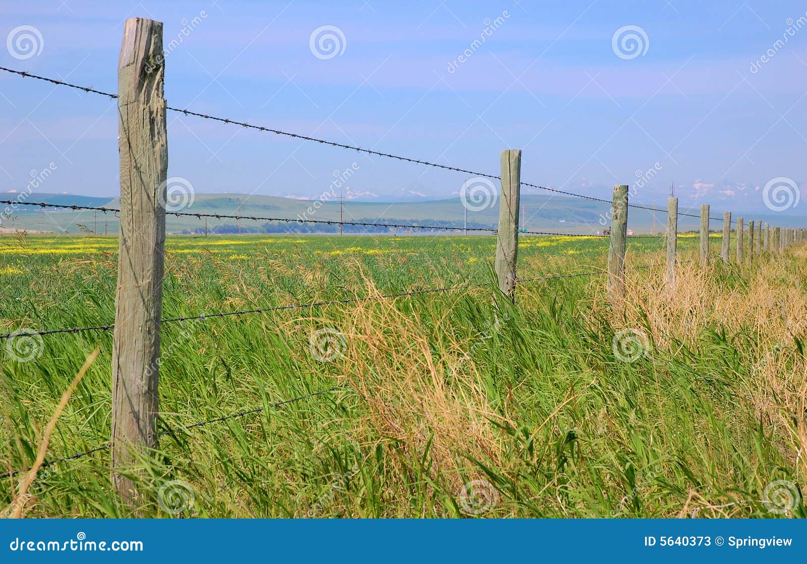 Fence of a farm stock image. Image of path, ranch, landscape - 5640373