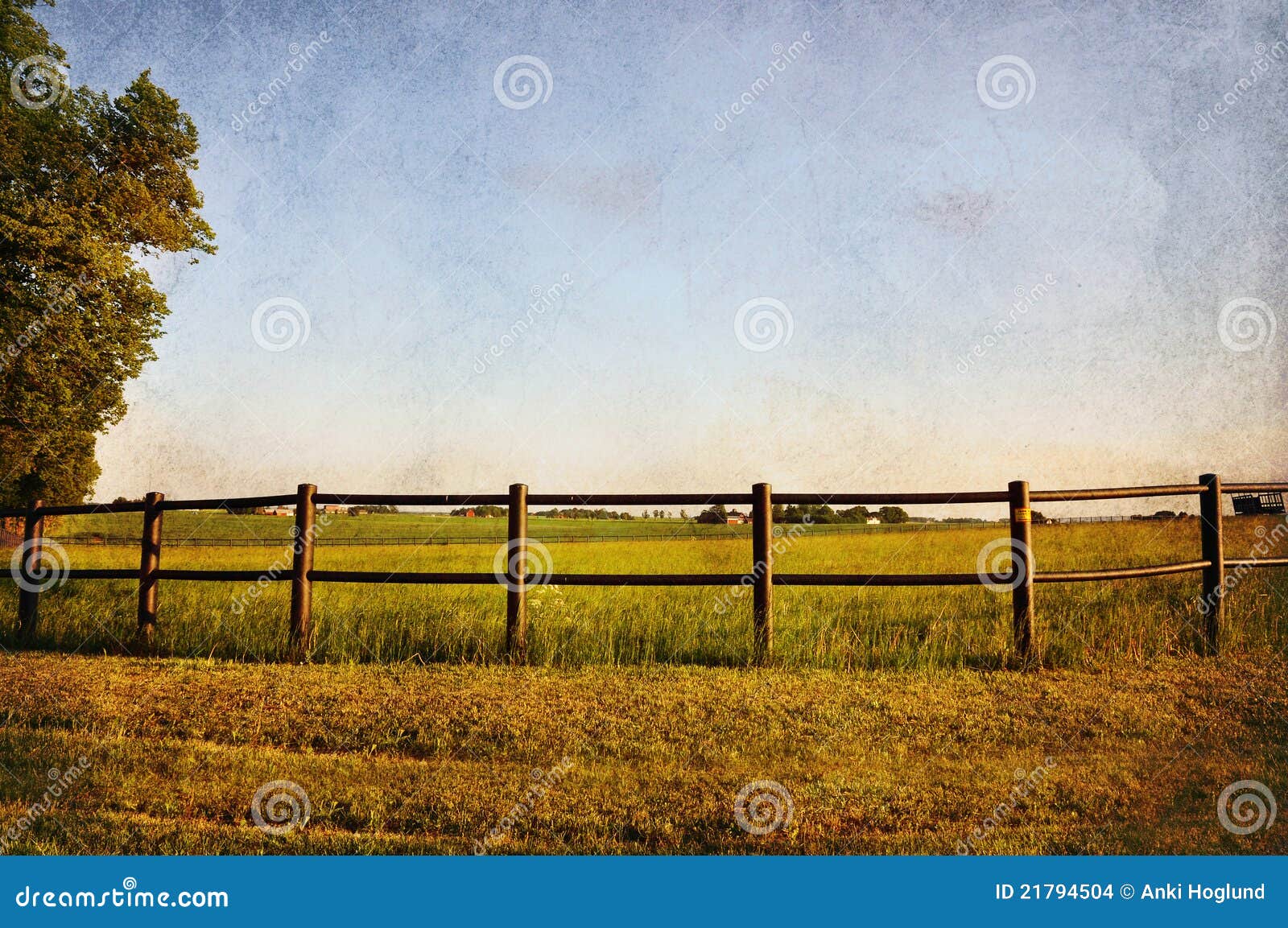 Fence and field stock photo. Image of splotch, countryside - 21794504
