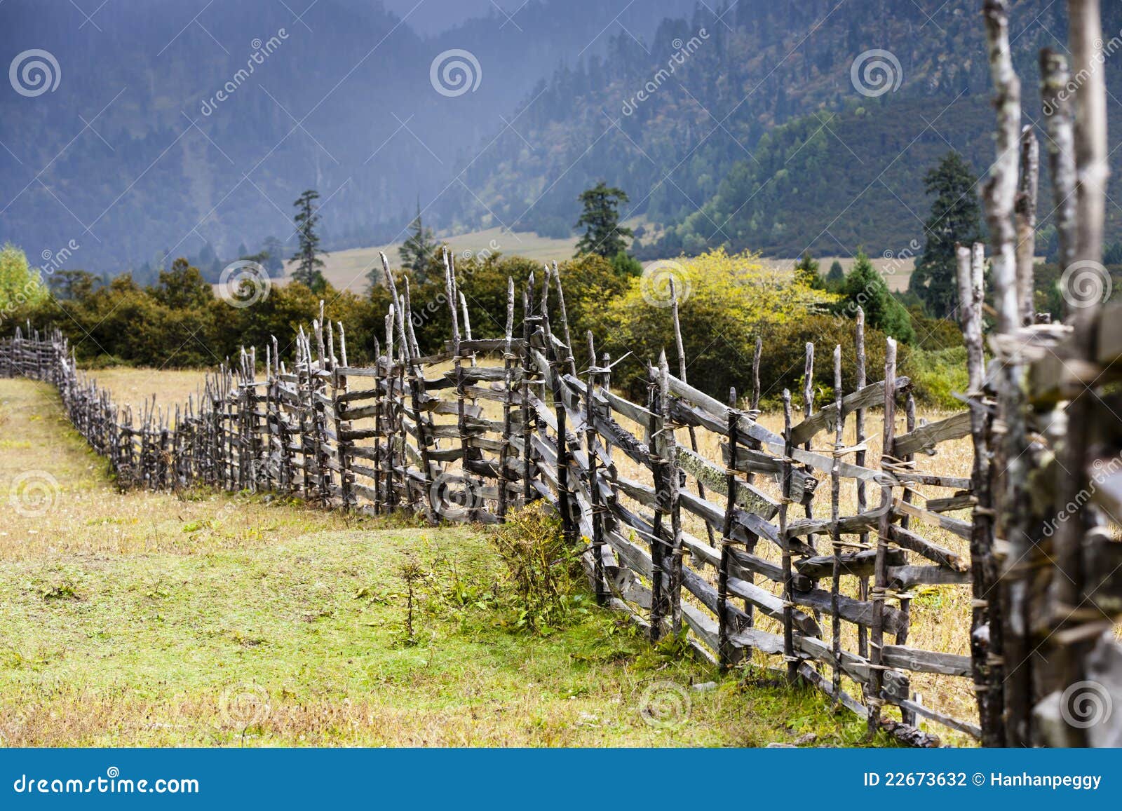 Fence and Field stock photo. Image of lawn, hedge, outdoors - 22673632