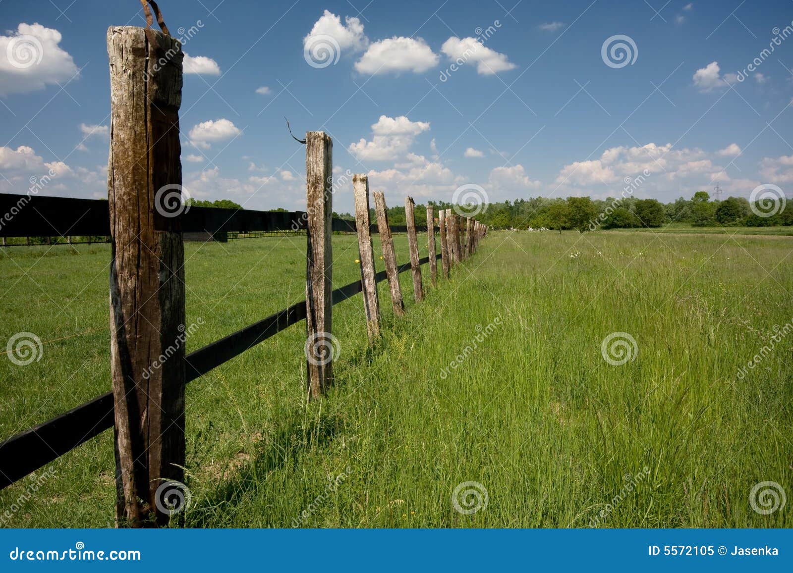 Fence in the field stock image. Image of rural, field - 5572105