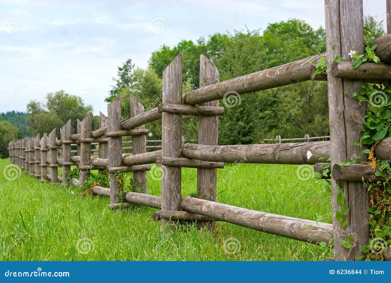 Fence In The Field Picture. Image: 6236844