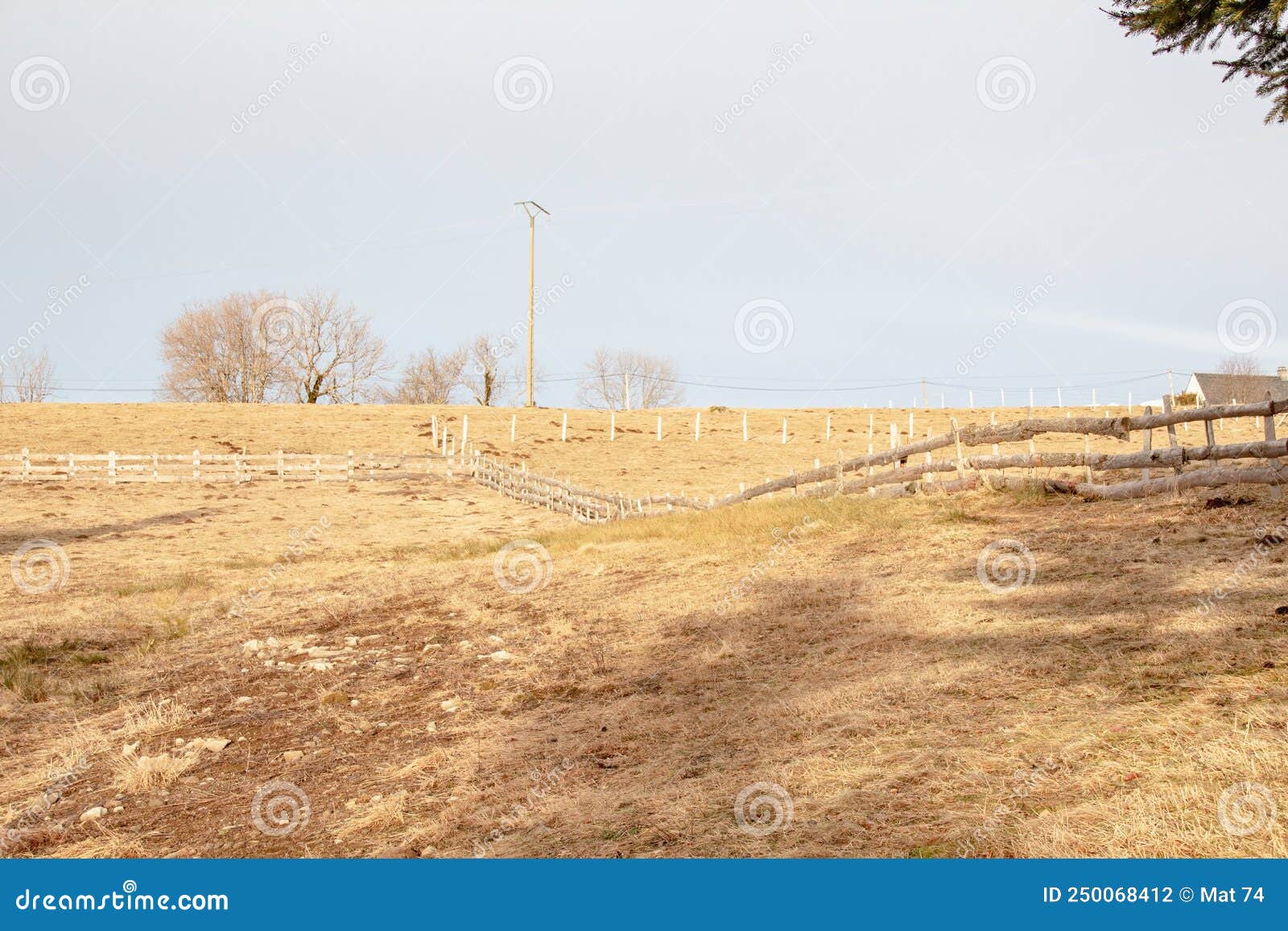 Fence in the field stock photo. Image of natural, clouds - 250068412