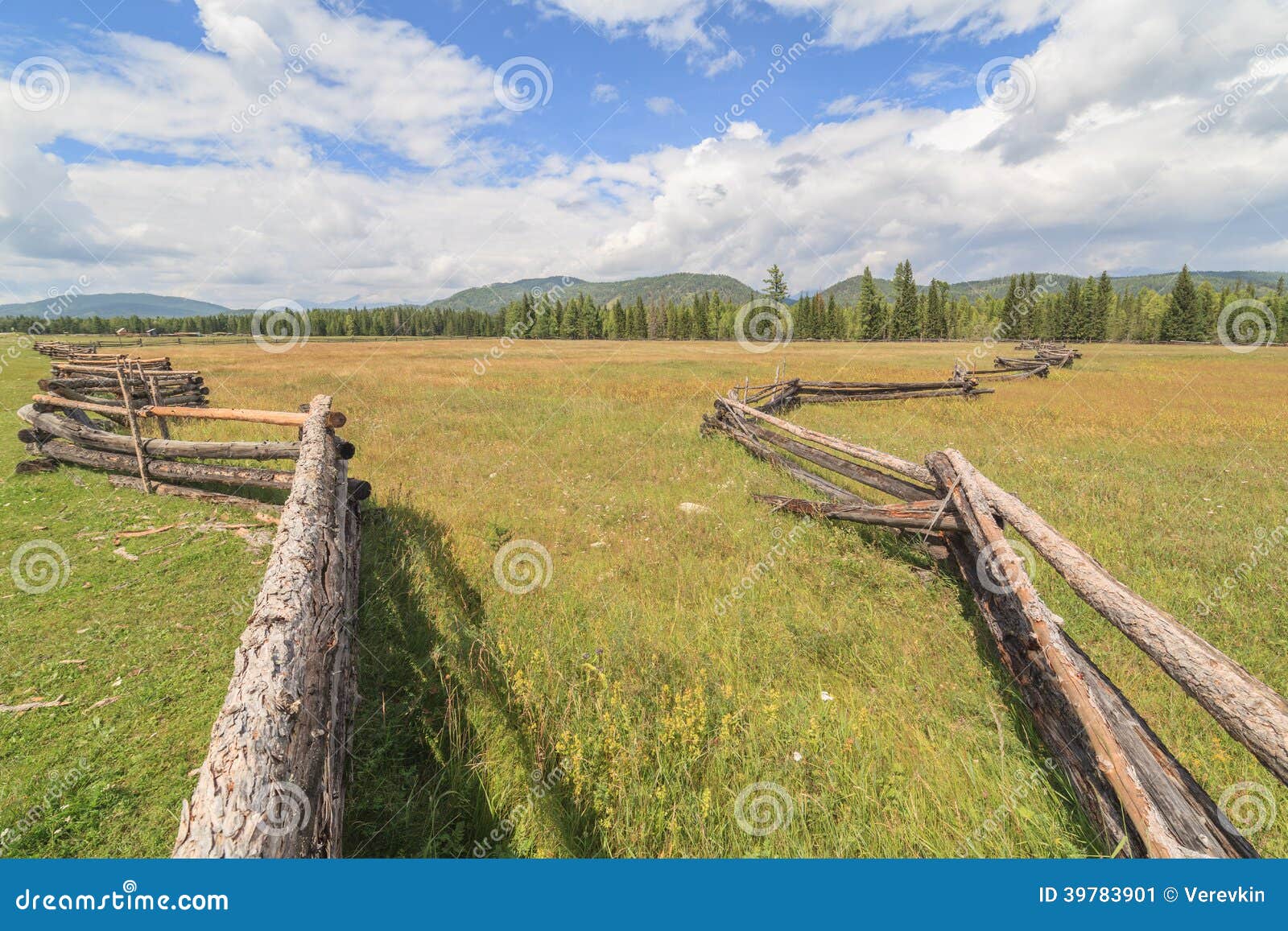 Fence in the field. stock image. Image of forest, summer - 39783901