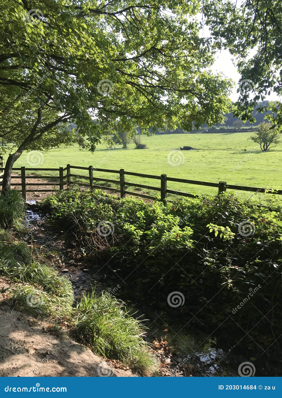 Fence beside a field stock photo. Image of stream, lawn - 203014684