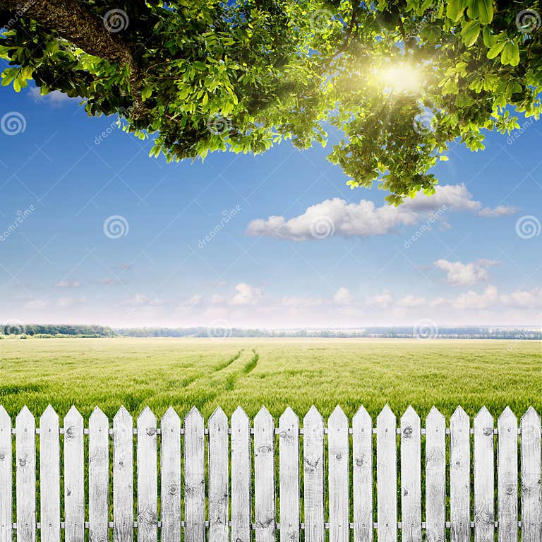 Fence and a field of wheat stock image. Image of lane - 30694147