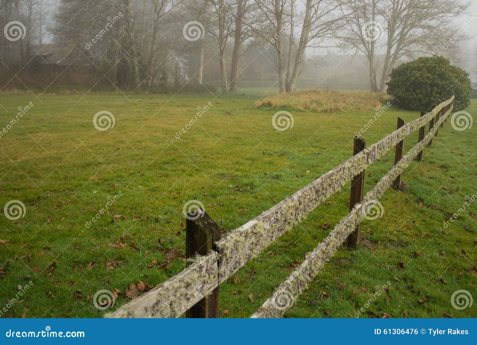 Fence into the fog stock photo. Image of field, grass - 61306476