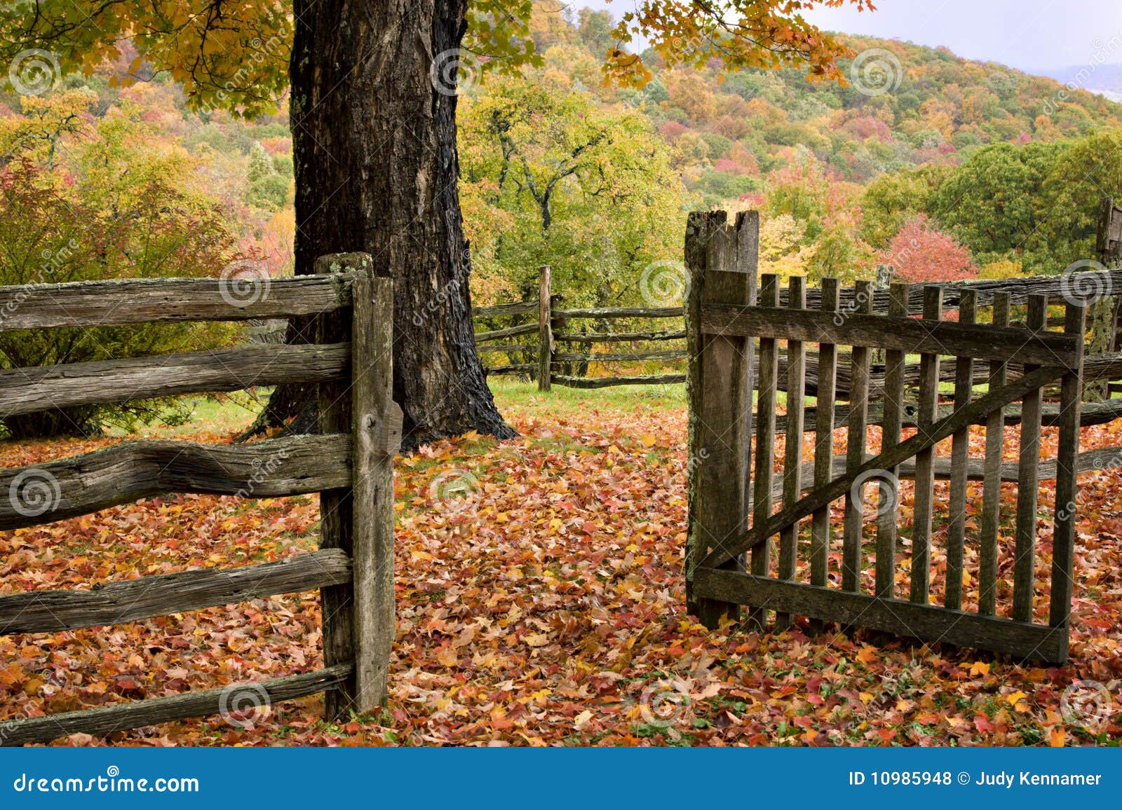 Fence and Gate with Fall Colors Stock Photo - Image of america, fall ...