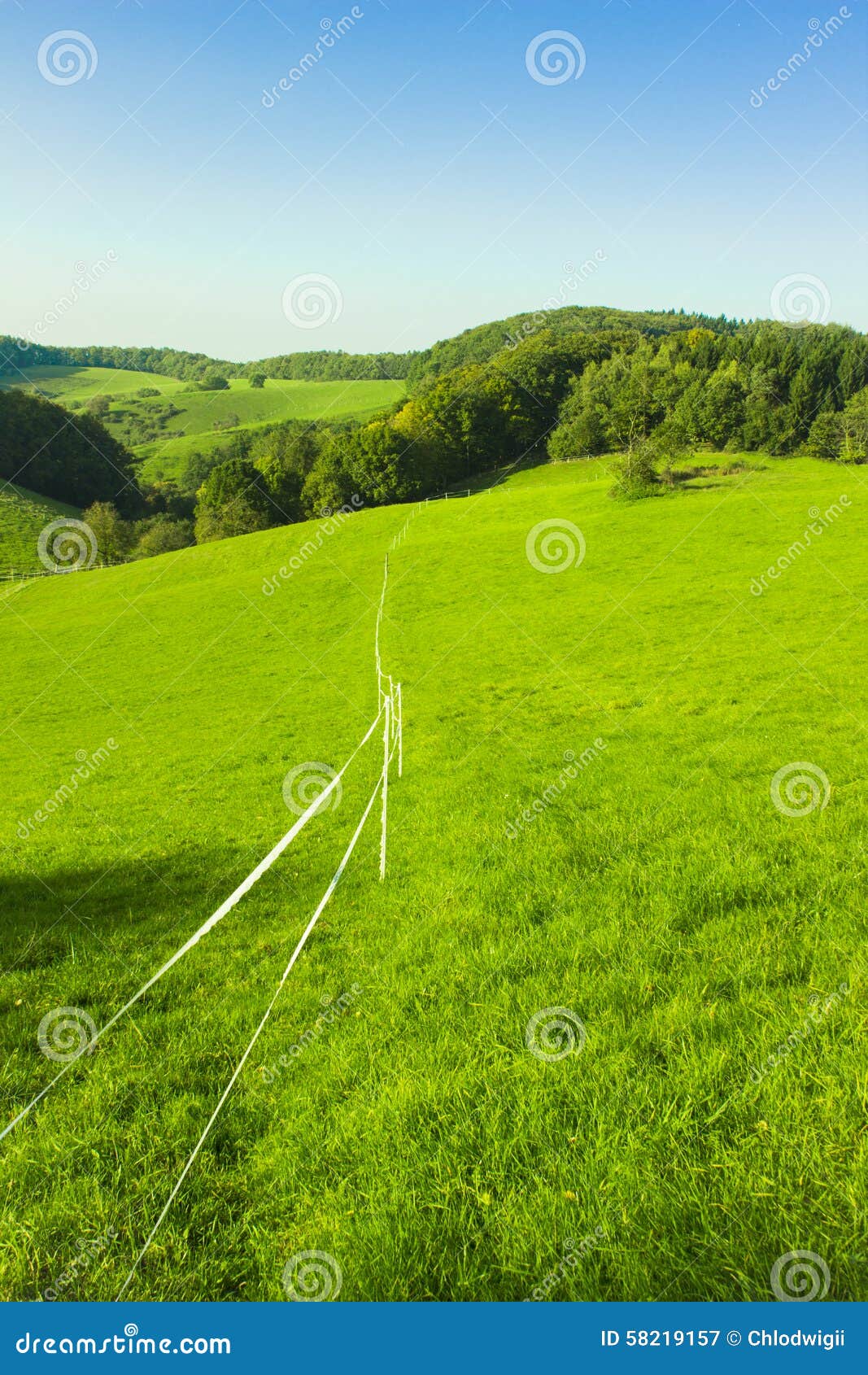 Fence at grazing land stock image. Image of germany, leisure - 58219157