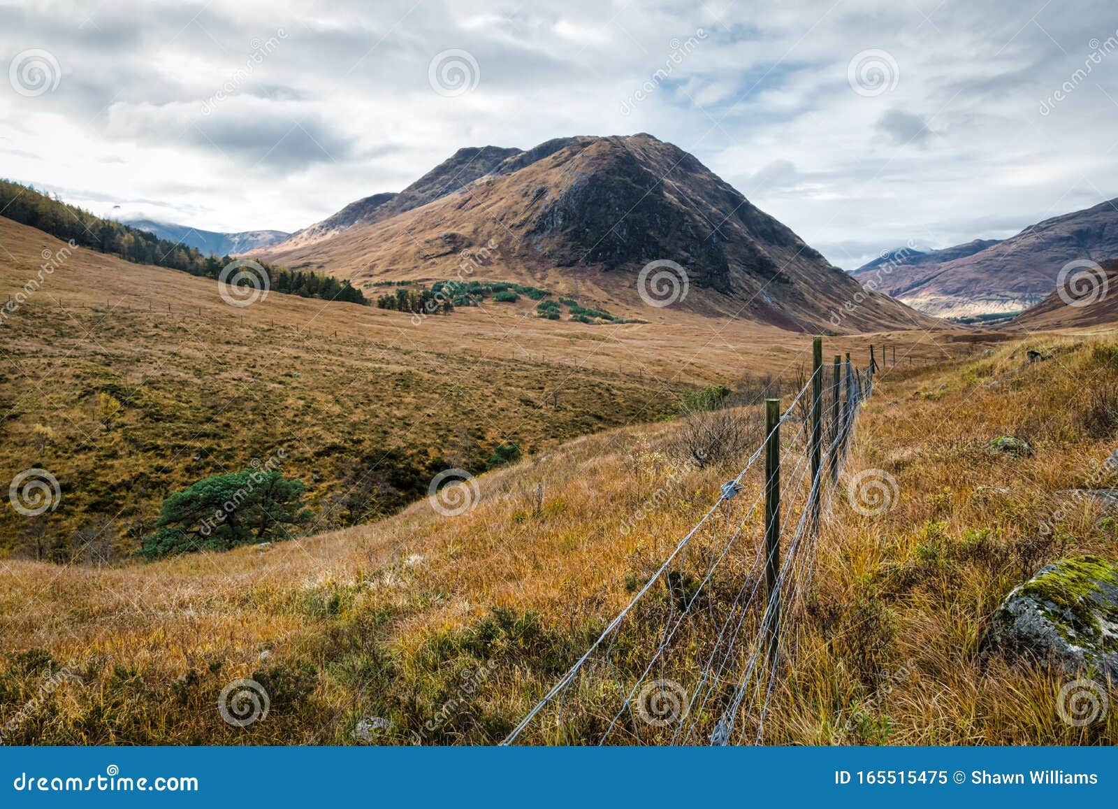 Fence through the Highlands Stock Image - Image of landscape, hummock ...