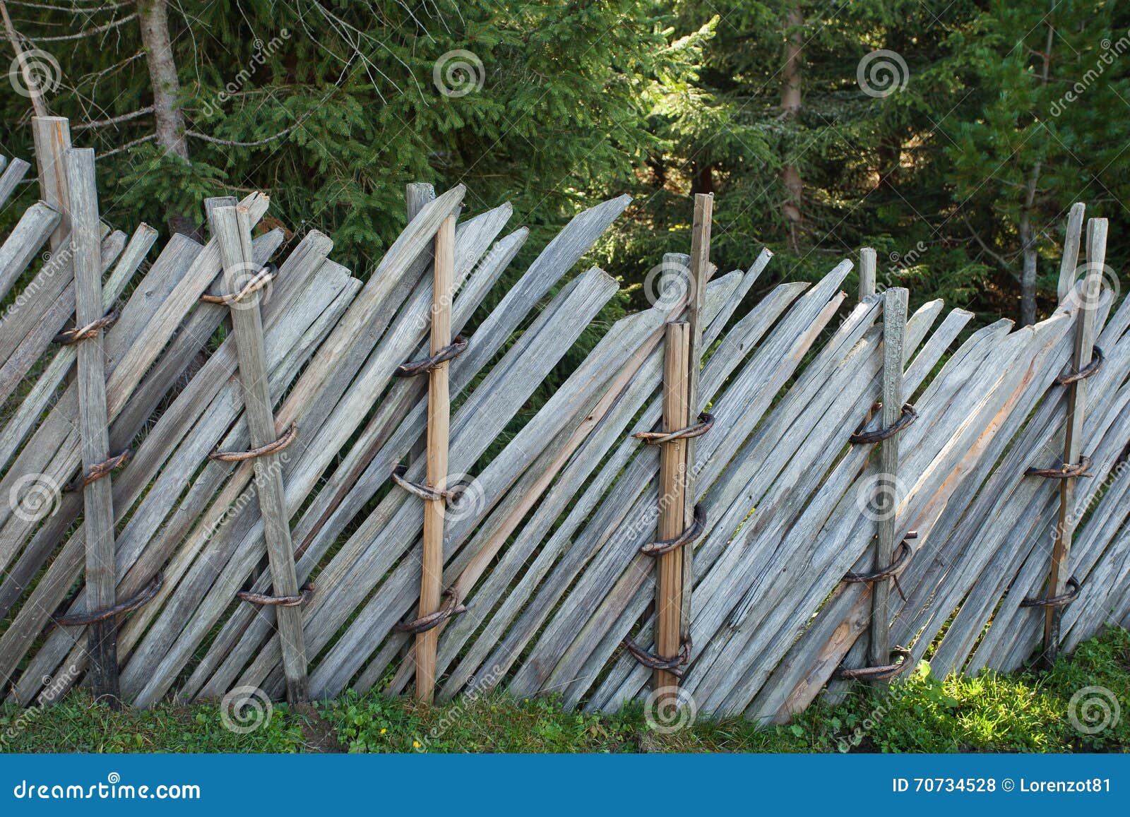Fence Inside a Typical Forest of the Italian Alps Stock Photo - Image ...