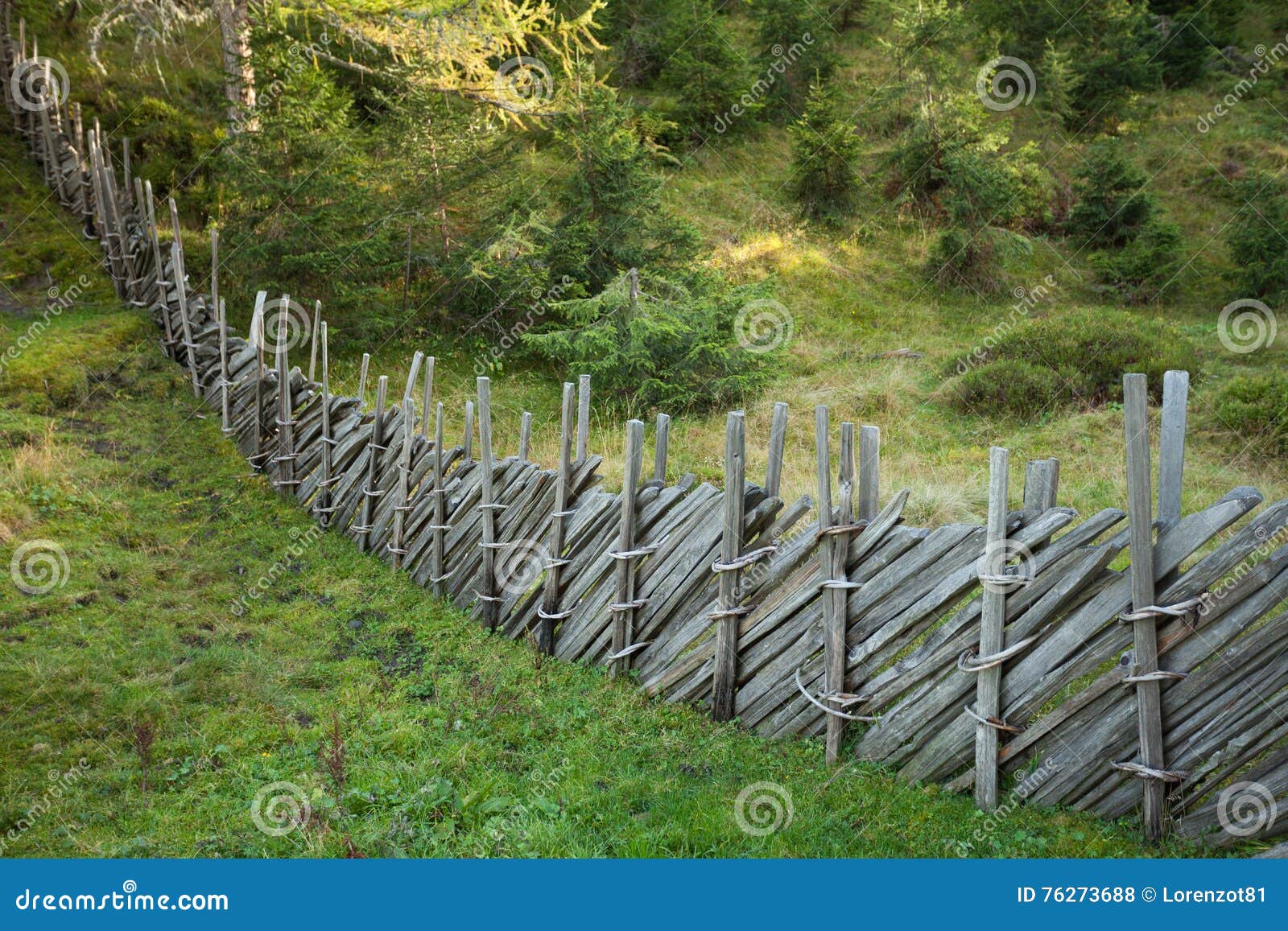 Fence Inside a Typical Forest of the Italian Alps Stock Photo - Image ...
