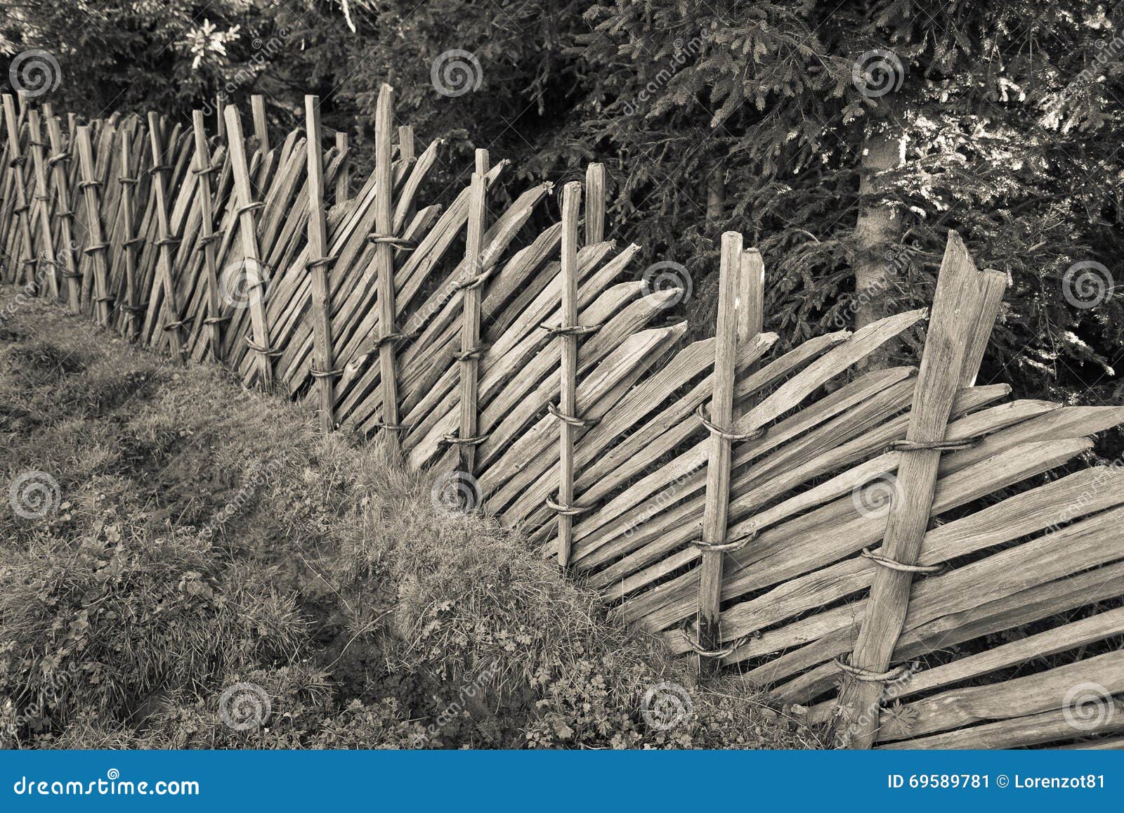 Fence Inside a Typical Forest of the Italian Alps (vintage Effect ...