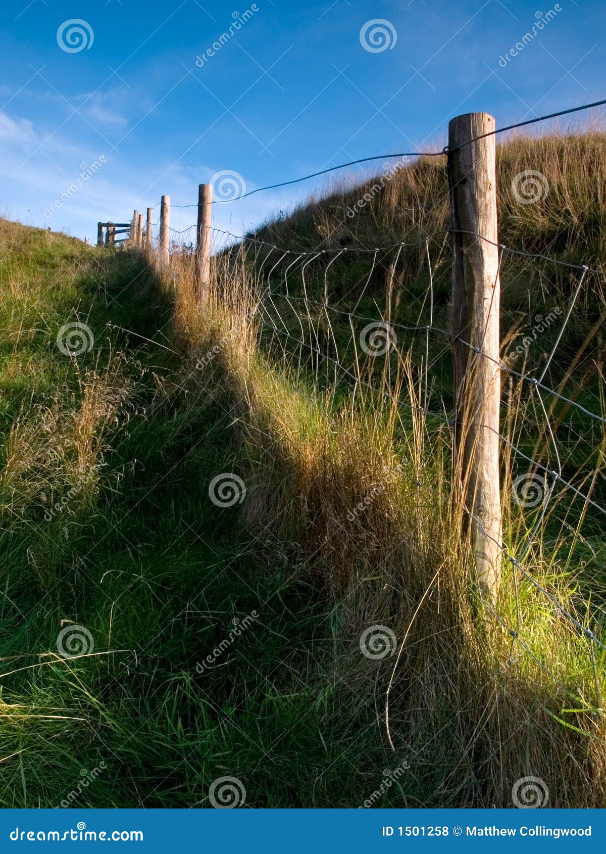 Fence Line stock photo. Image of countryside, natural - 1501258
