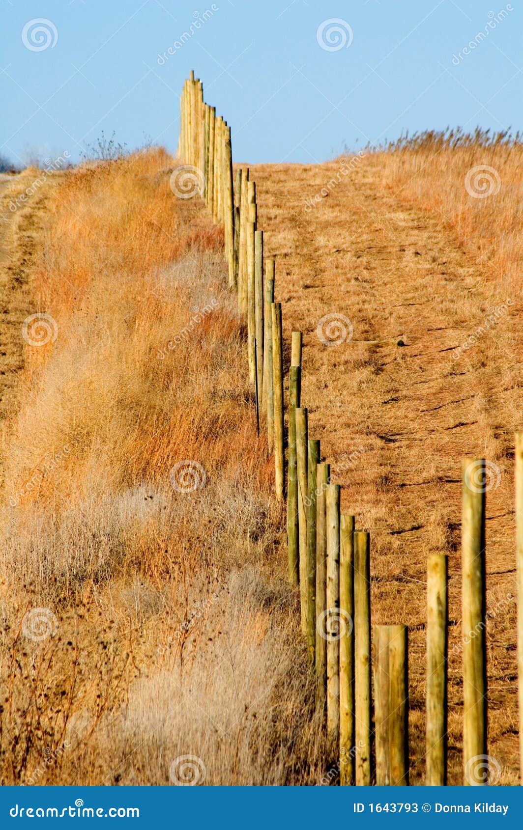Fence Line stock image. Image of grass, winter, season - 1643793