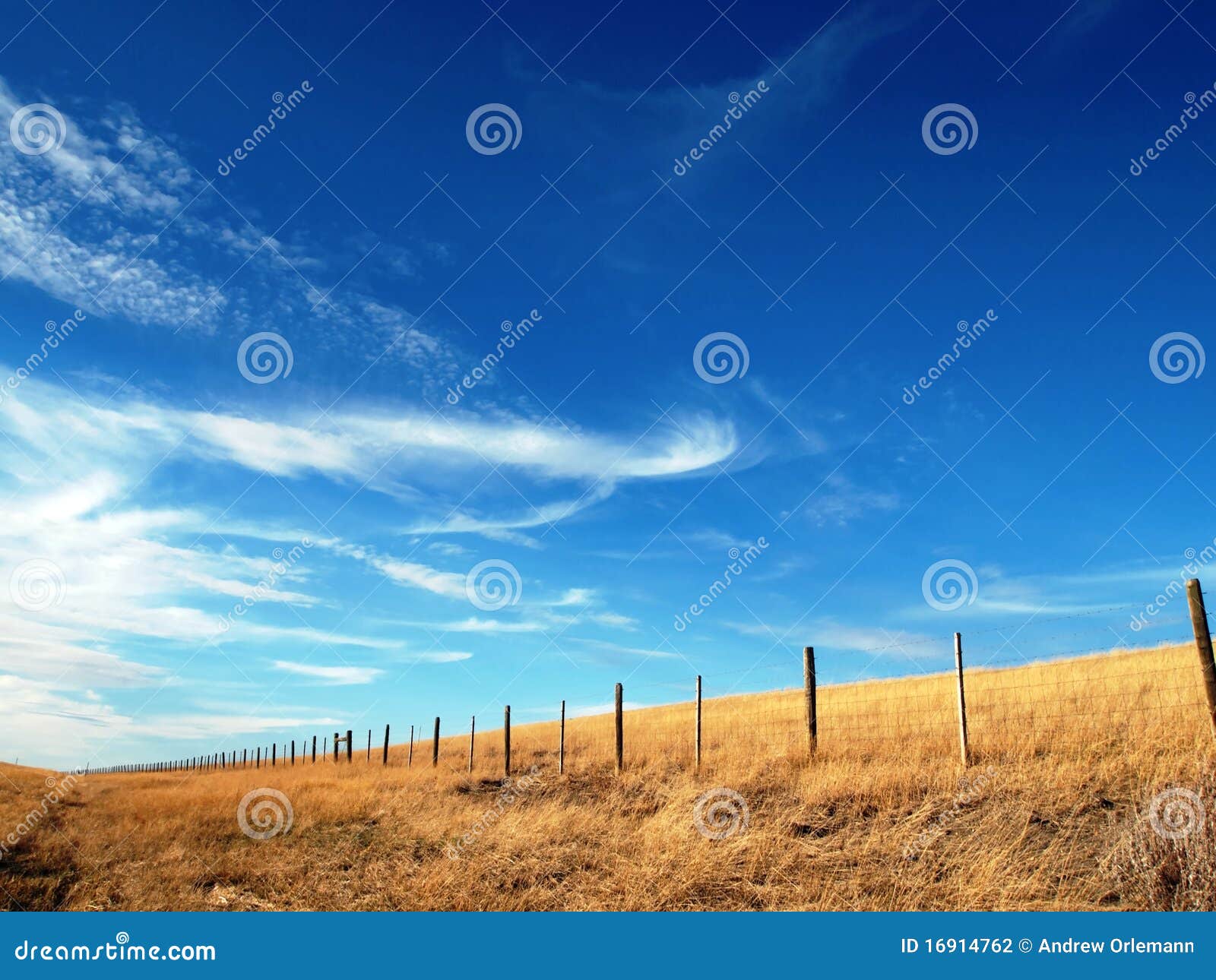 Fence Line stock photo. Image of field, nature, rural - 16914762