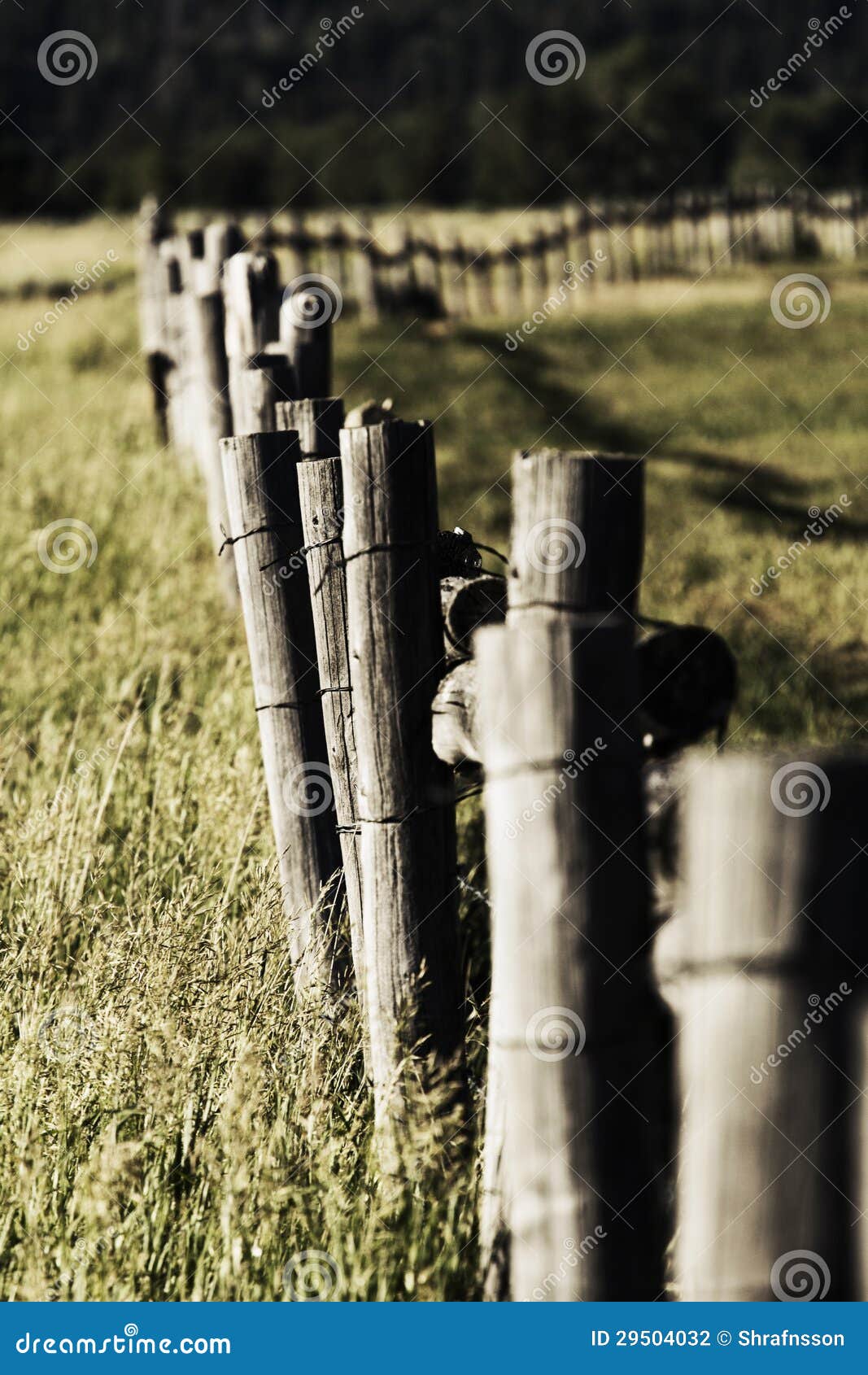 Fence Line stock photo. Image of perspective, line, divided - 29504032