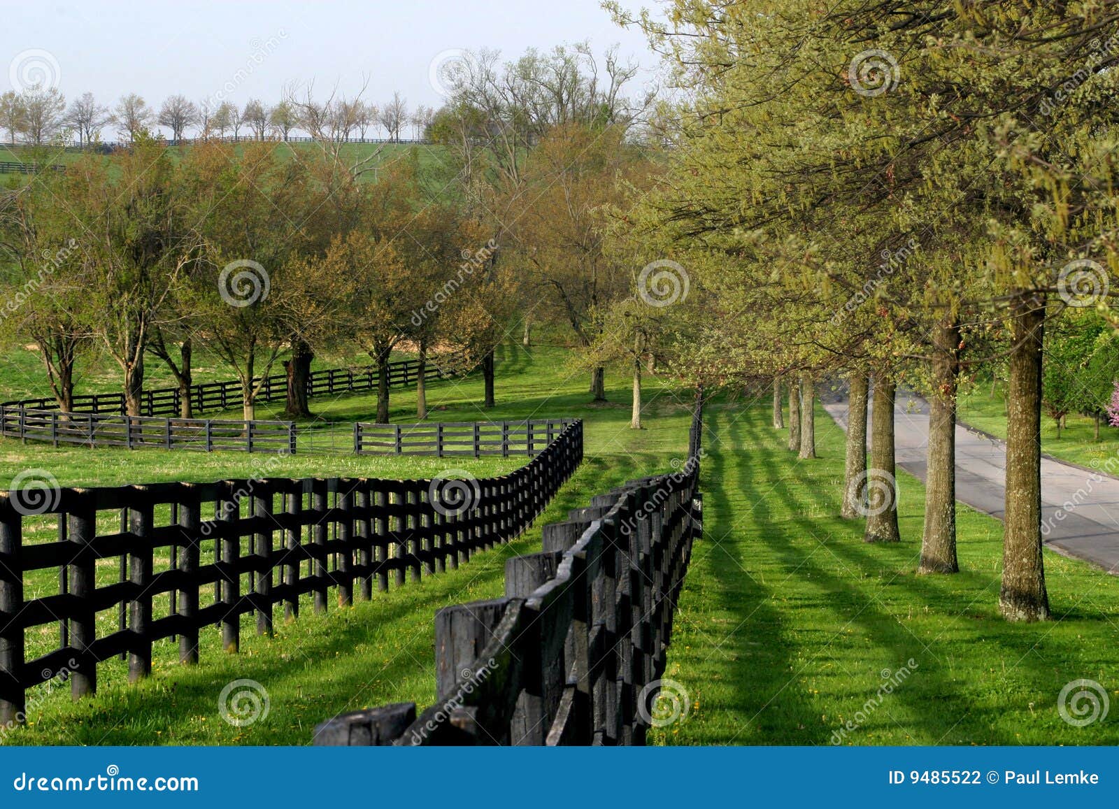 Fence Line and Lane stock photo. Image of horse, outdoor - 9485522