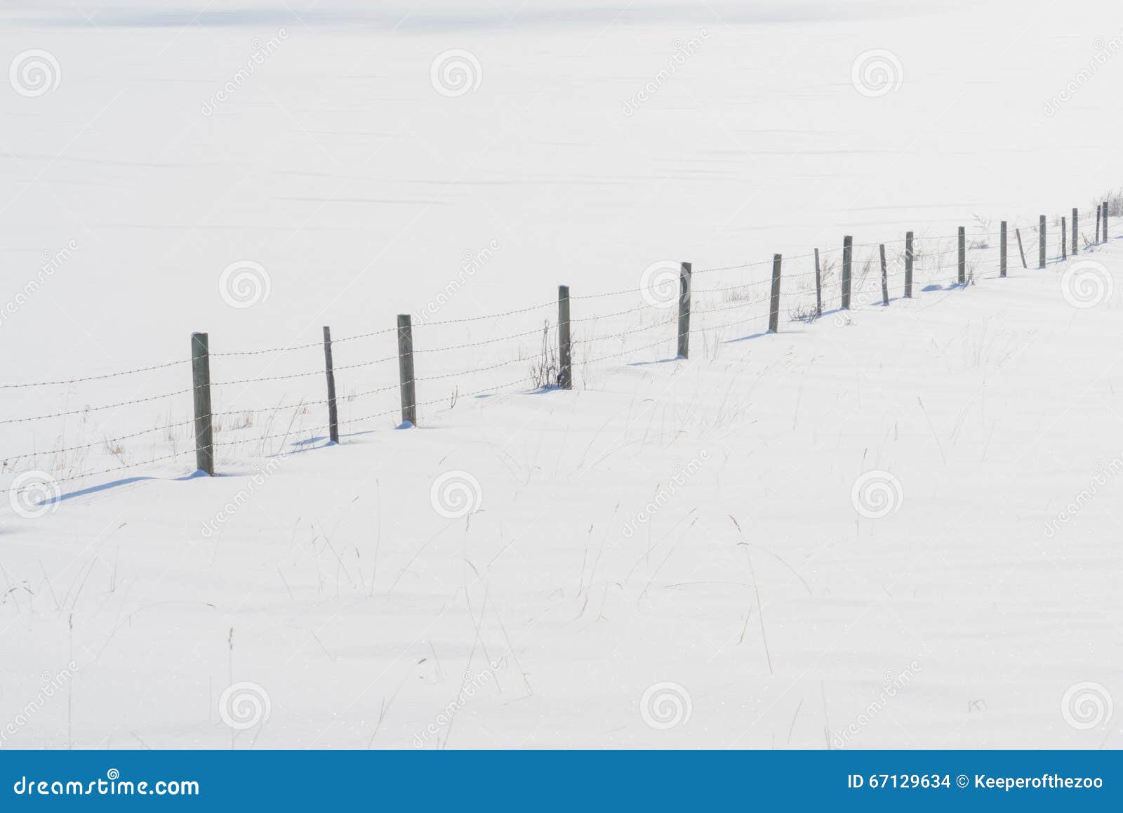 Fence Line in Snow stock photo. Image of silence, field - 67129634