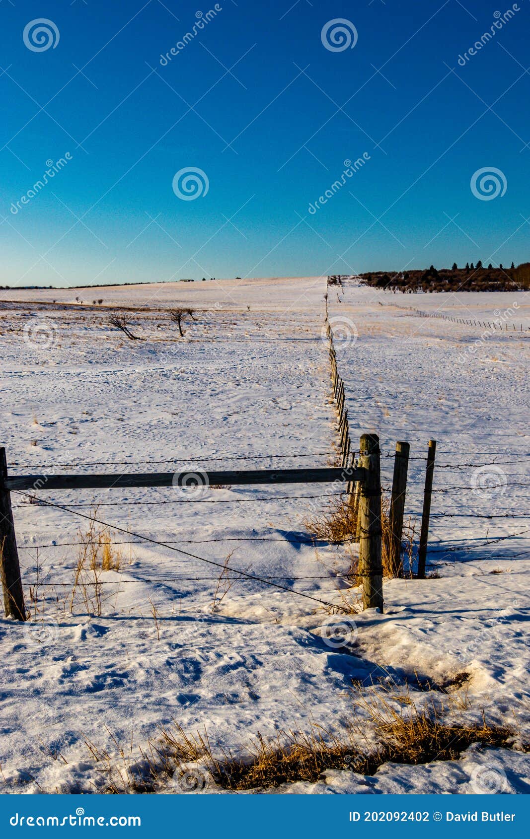 Fence Line in a Snowy Field. Springbank,Alberta,Canada Stock Photo ...
