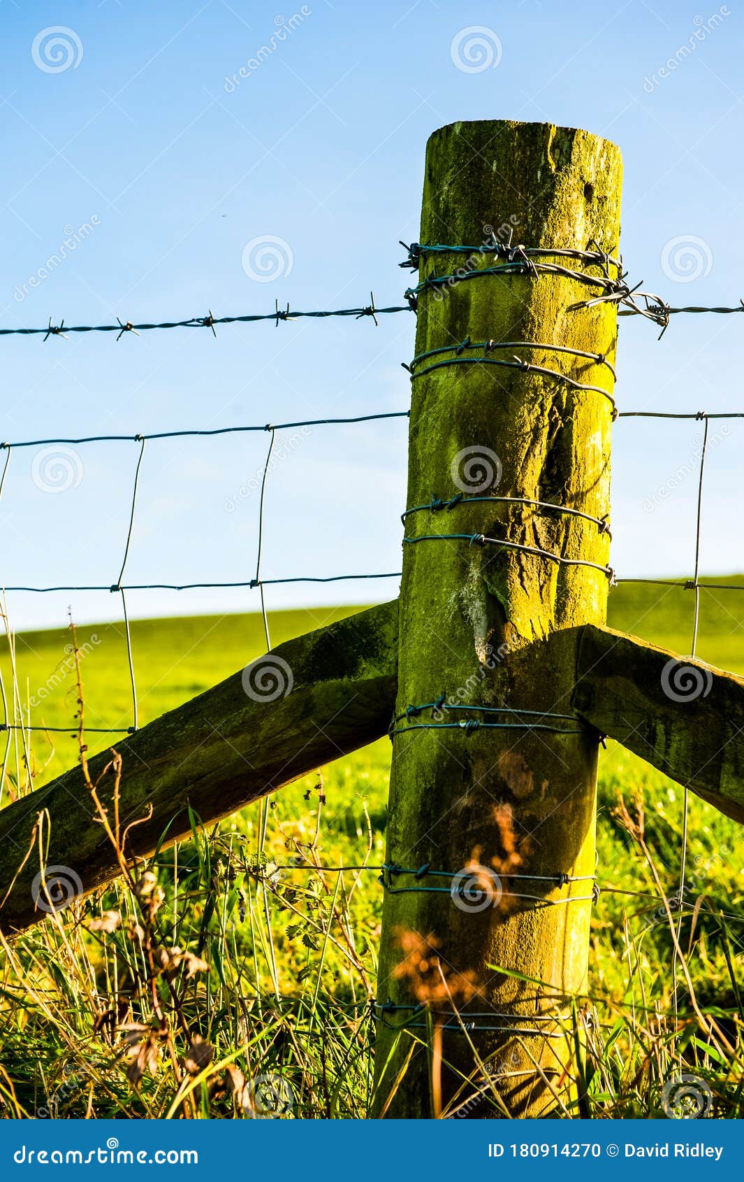 Line Of Typical Old Fashioned British Red Public Telephone Boxes ...