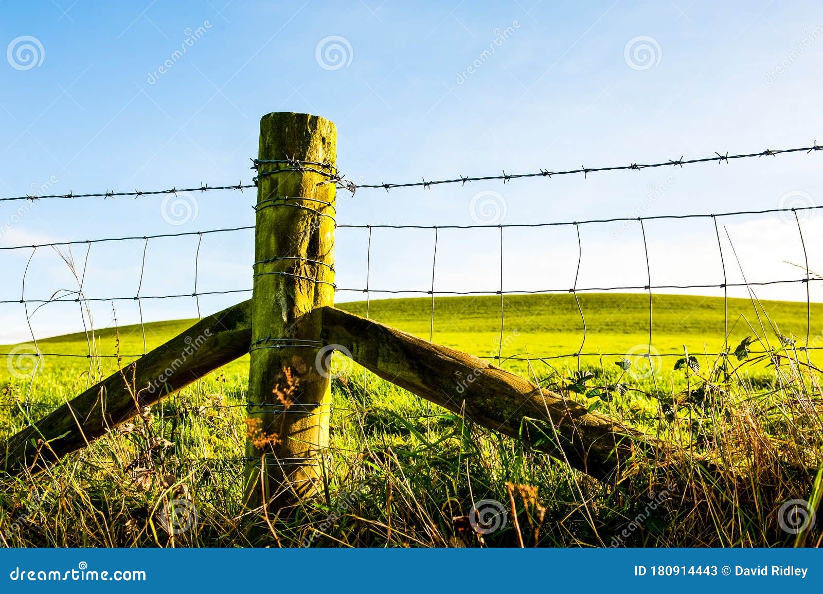 Fence Line, the Typical Wood Post and Barbed Wire Barrier Stock Image ...