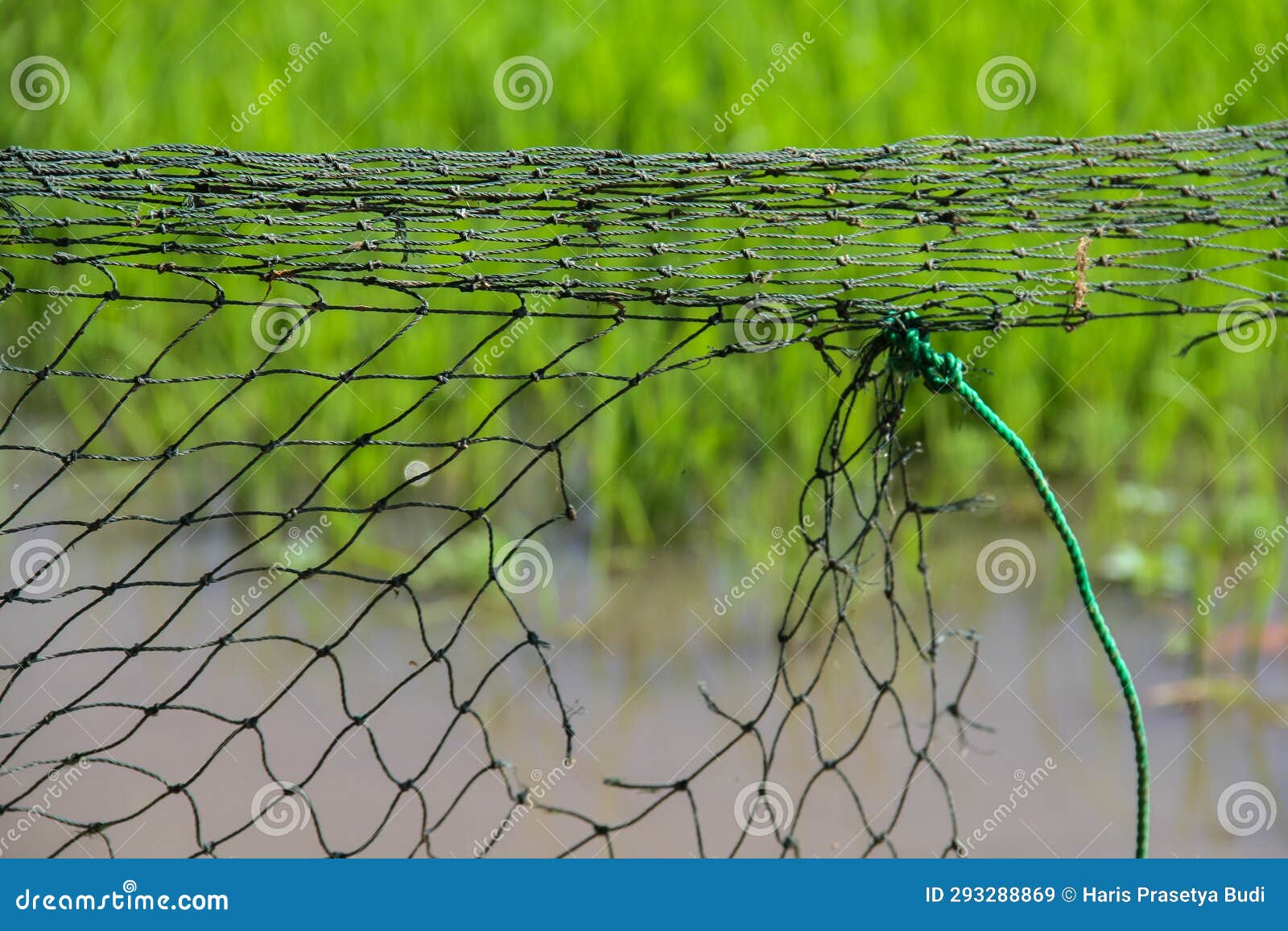 Fence Made of Broken Nets, with Holes. Stock Image - Image of bamboo ...