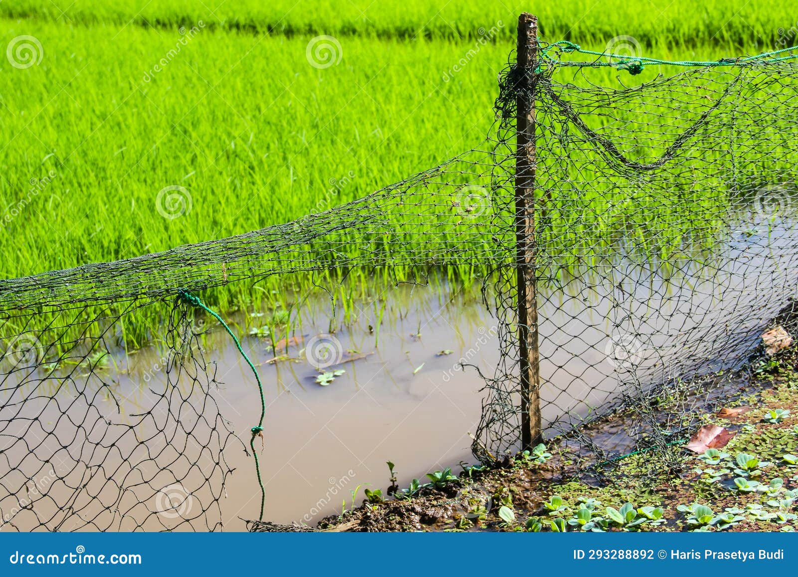 Fence Made of Broken Nets, with Holes. Stock Photo - Image of nature ...