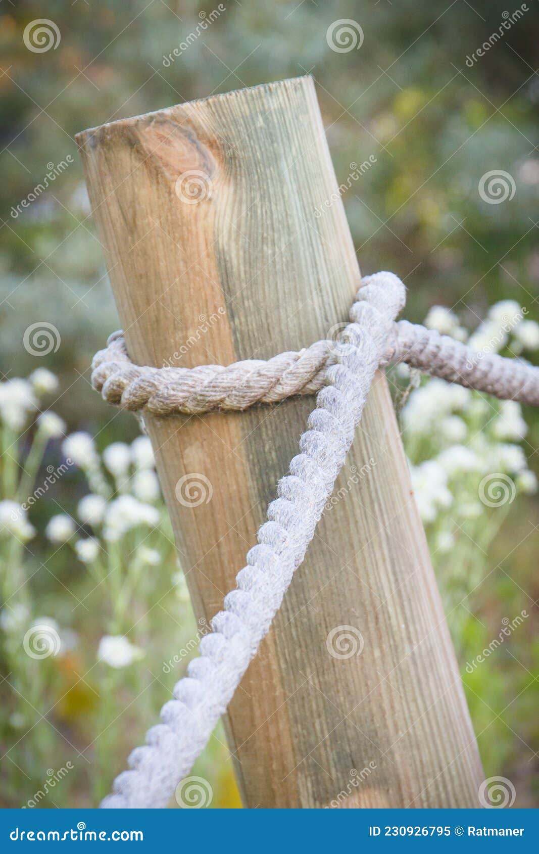 Fence Made of Rope and Wooden Pole in Park Stock Image - Image of trail ...