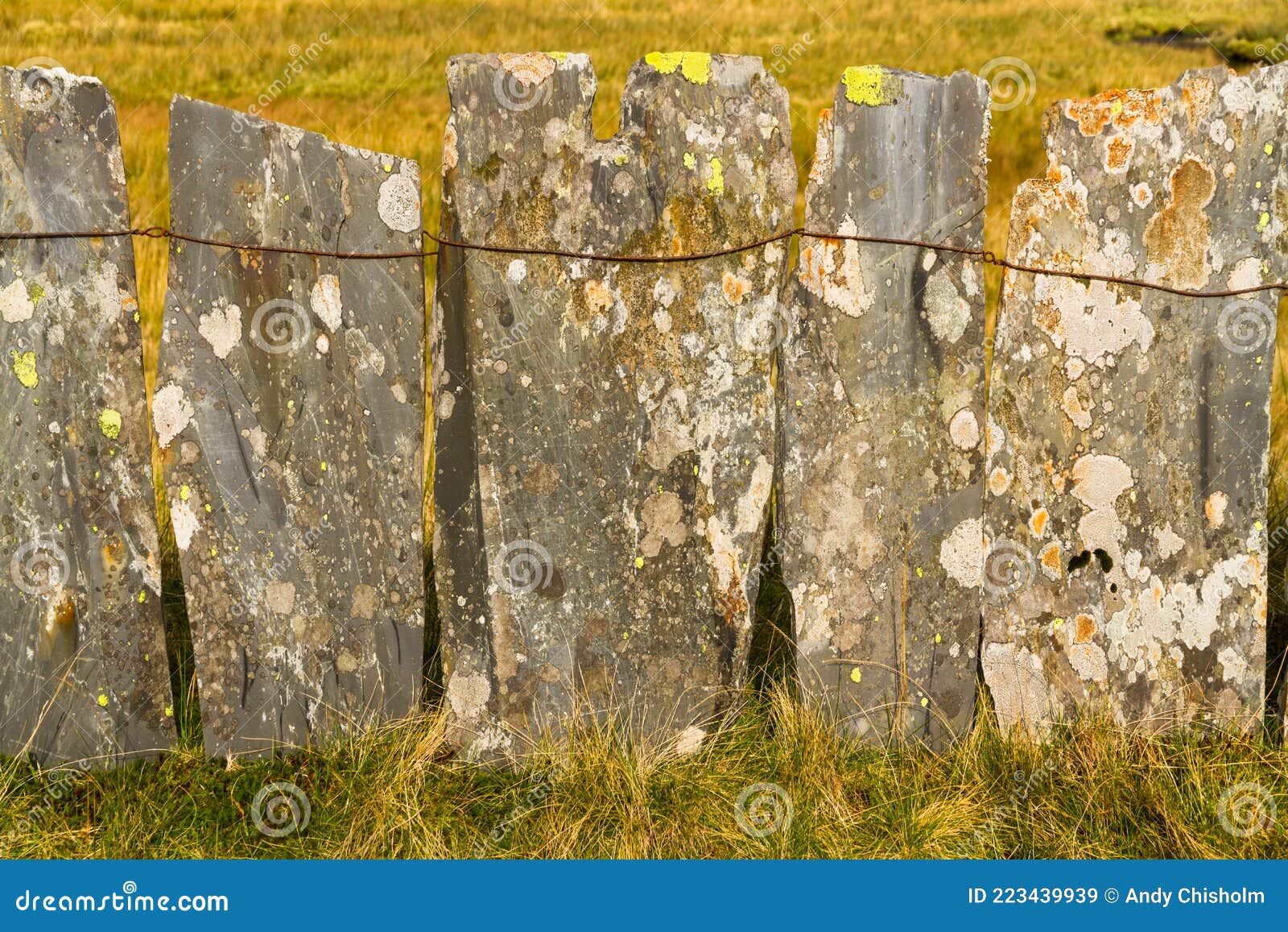 Fence Made from Slate Slabs Stock Image - Image of retro, fence: 223439939