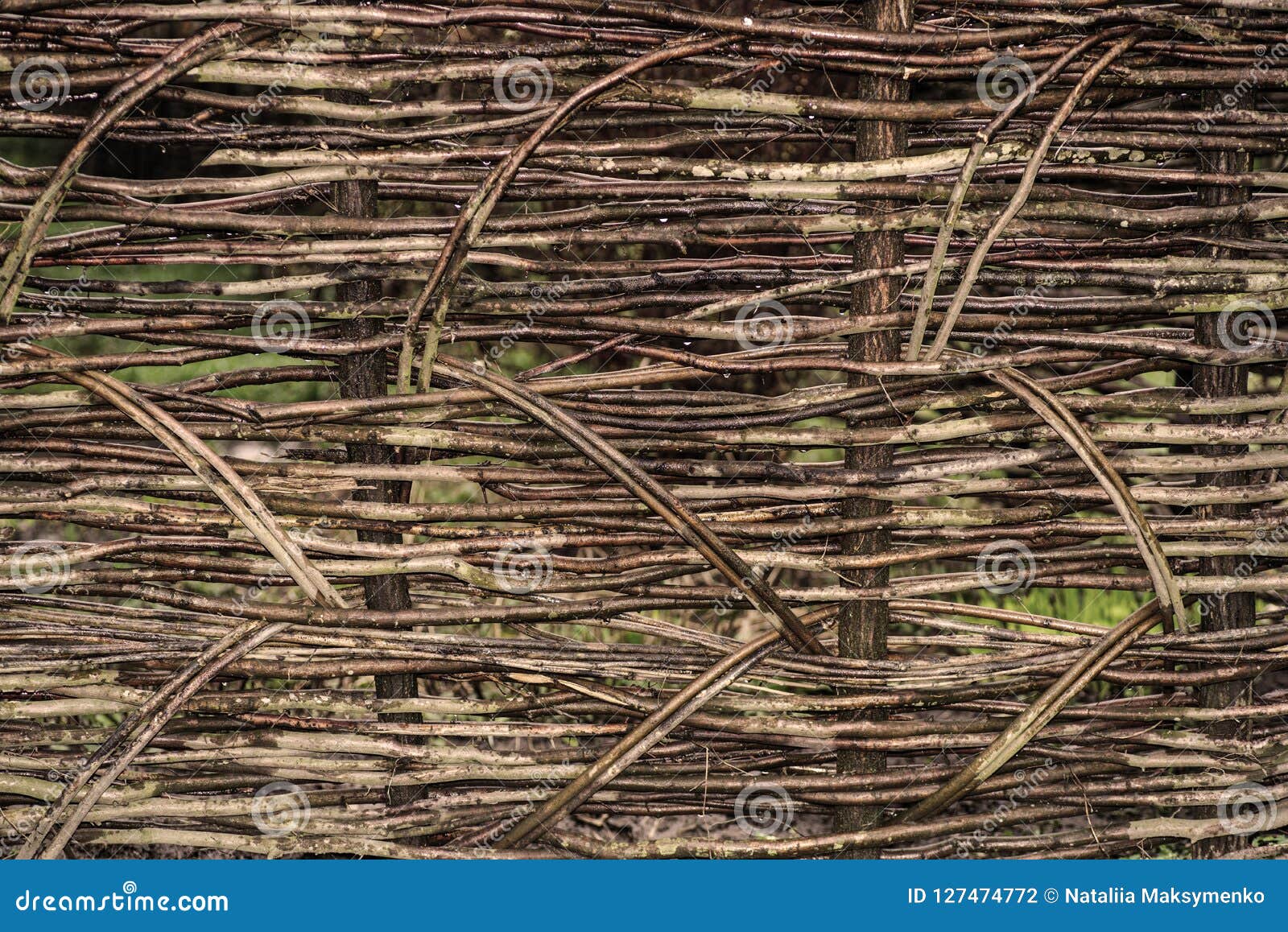 Fence Made of Thin Rods, Braided Around Wooden Racks. Stock Photo ...