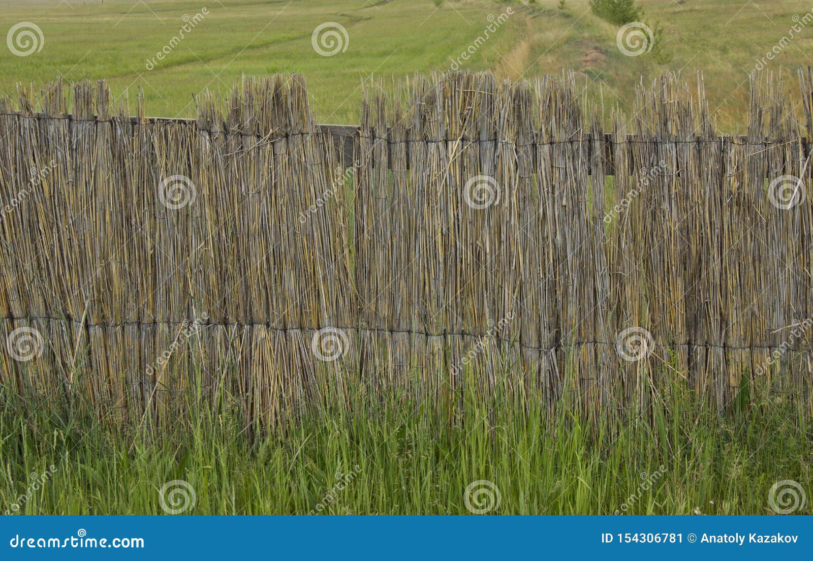 Fence Made of Thin Wooden Rods in Daylight Stock Image - Image of ...