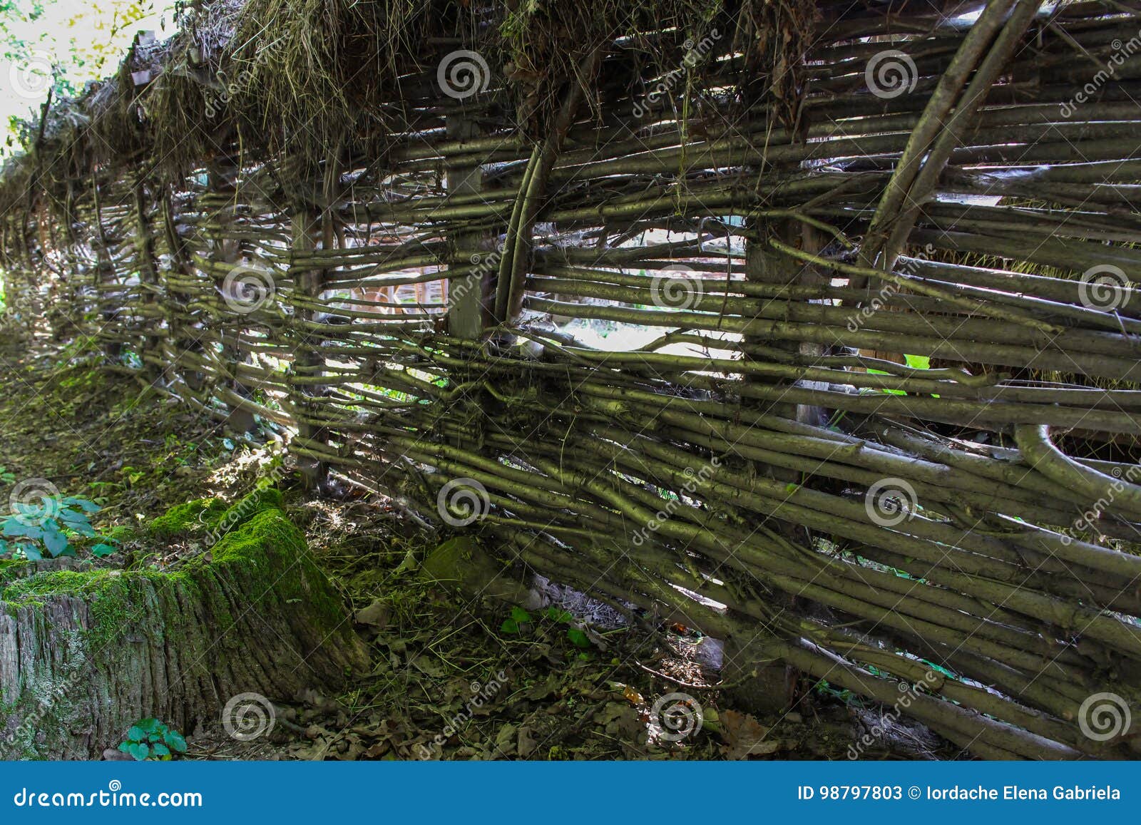 A Fence Made of Twig and Straw Stock Image - Image of material, leaf ...