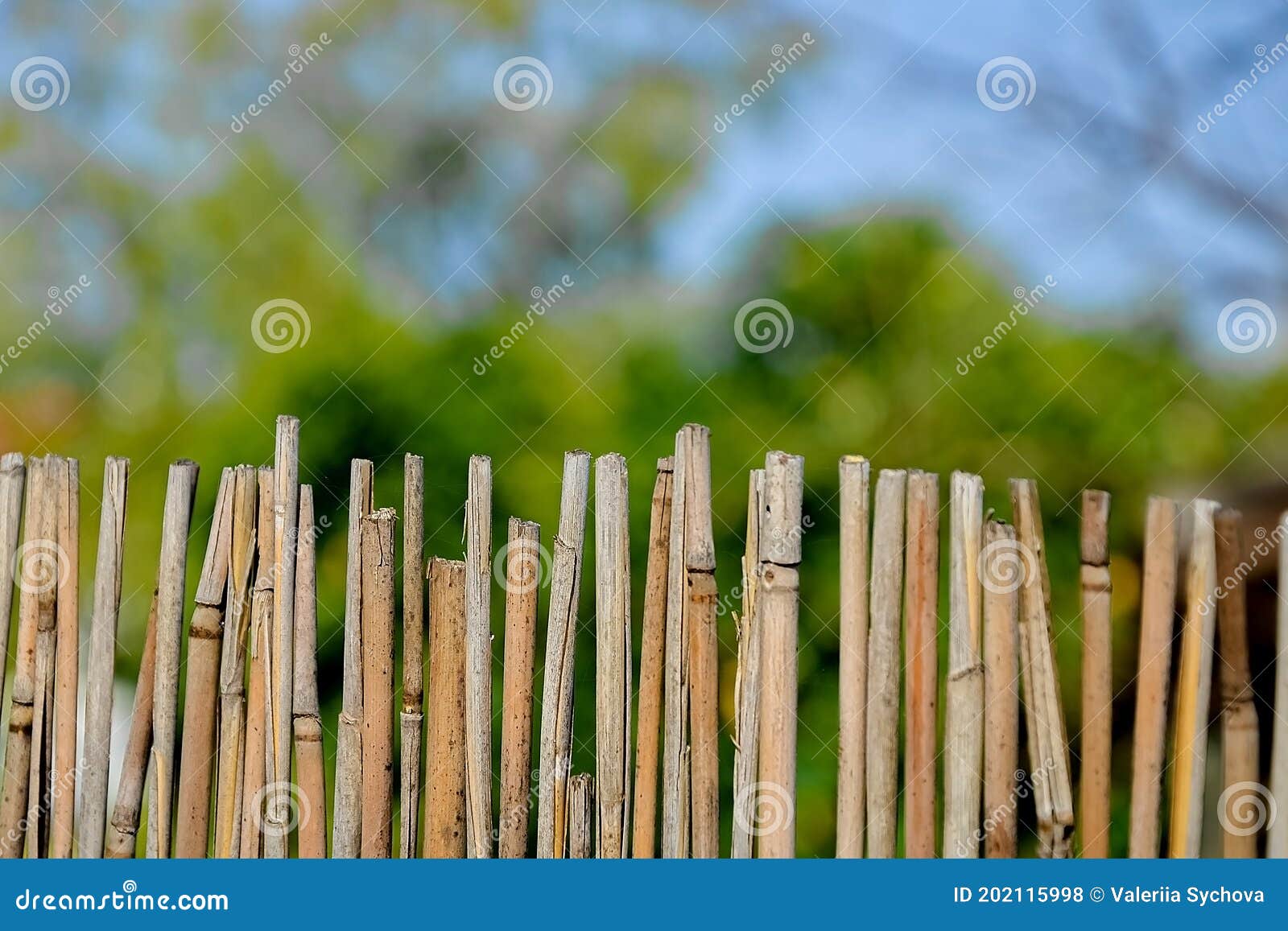 A Fence Made of Twigs in the Garden Stock Photo - Image of closeup ...