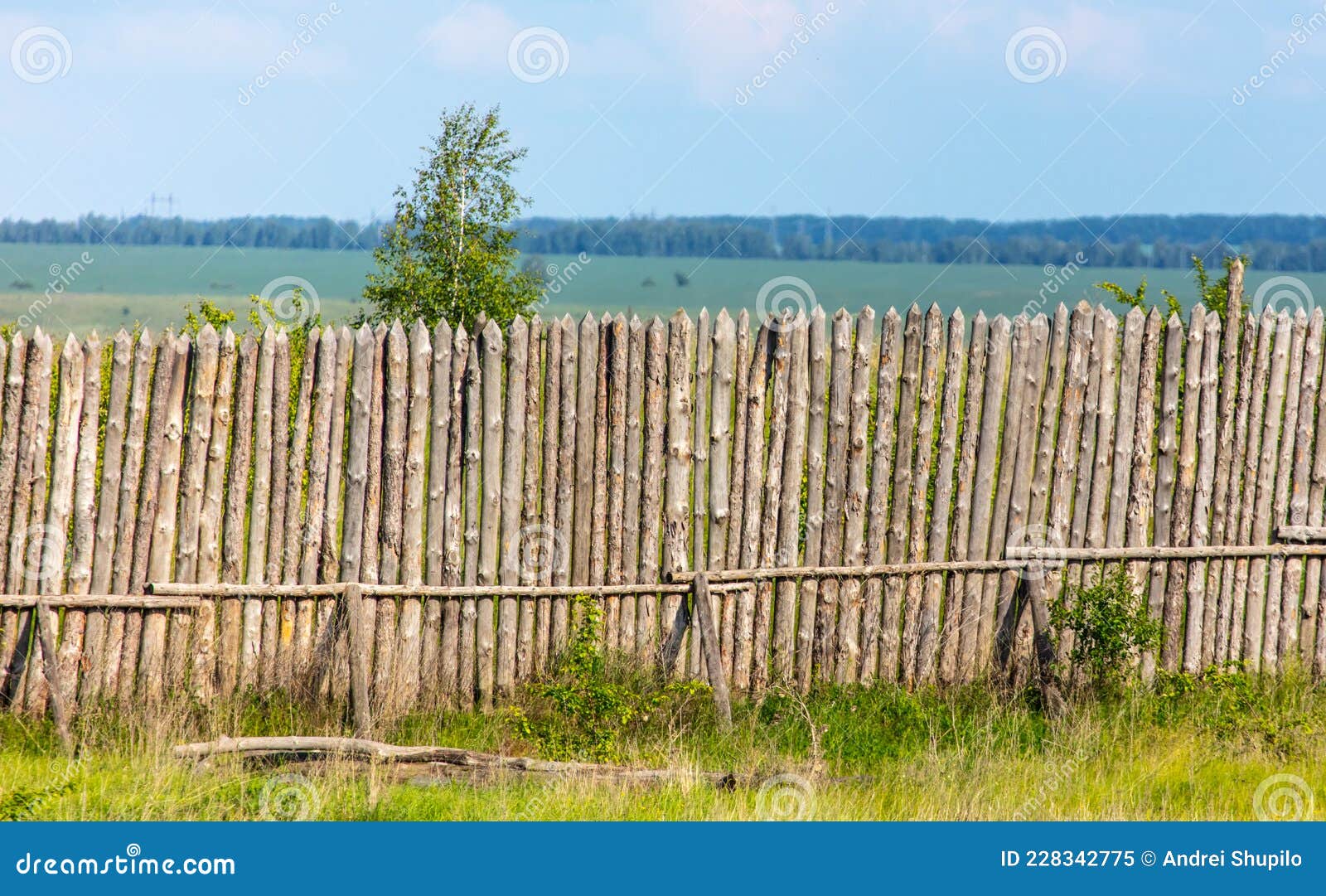 A Fence Made of Wooden Logs Stock Image - Image of fortress, palisade ...