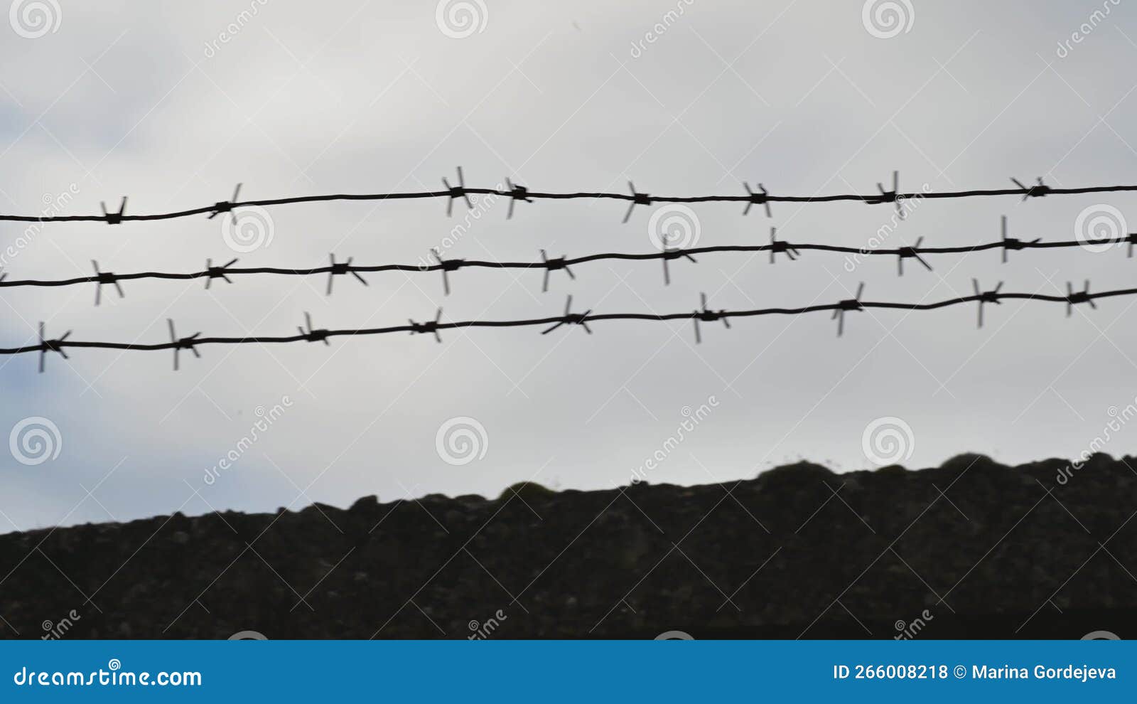 Fence with Modern Barbed Wire at the Top Against the Backdrop of the ...