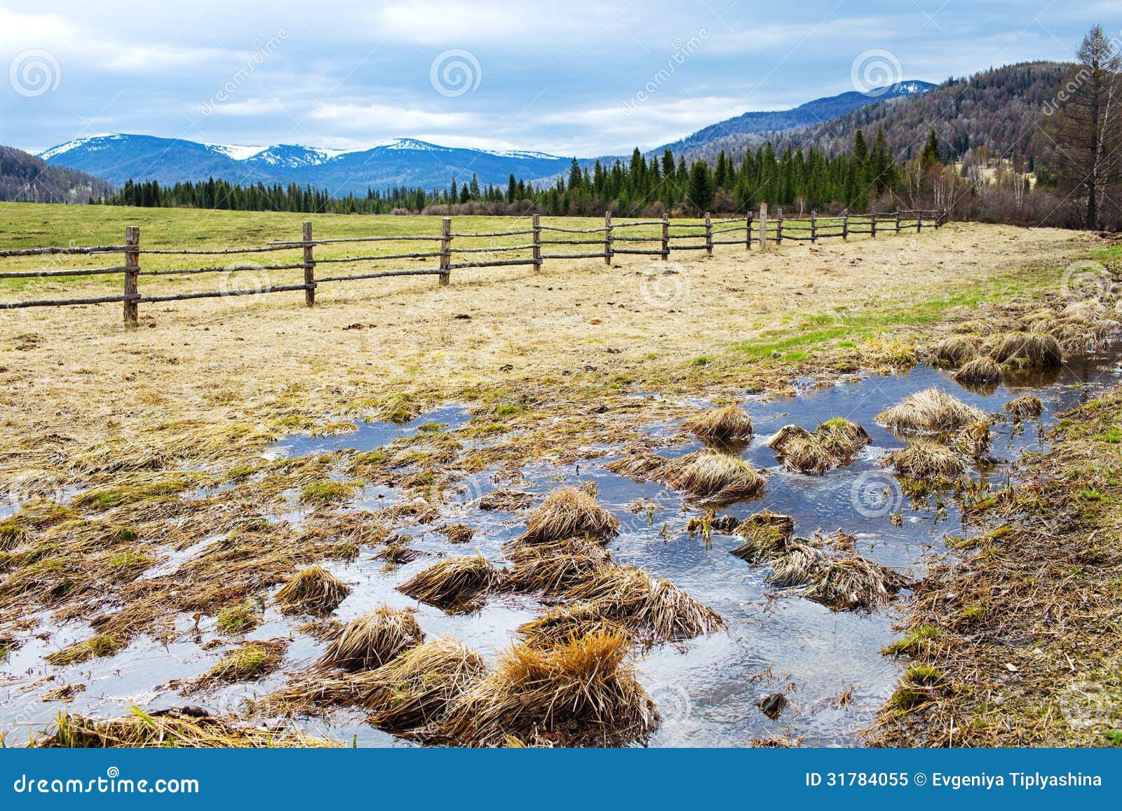 Fence near the field stock image. Image of tree, mountains - 31784055