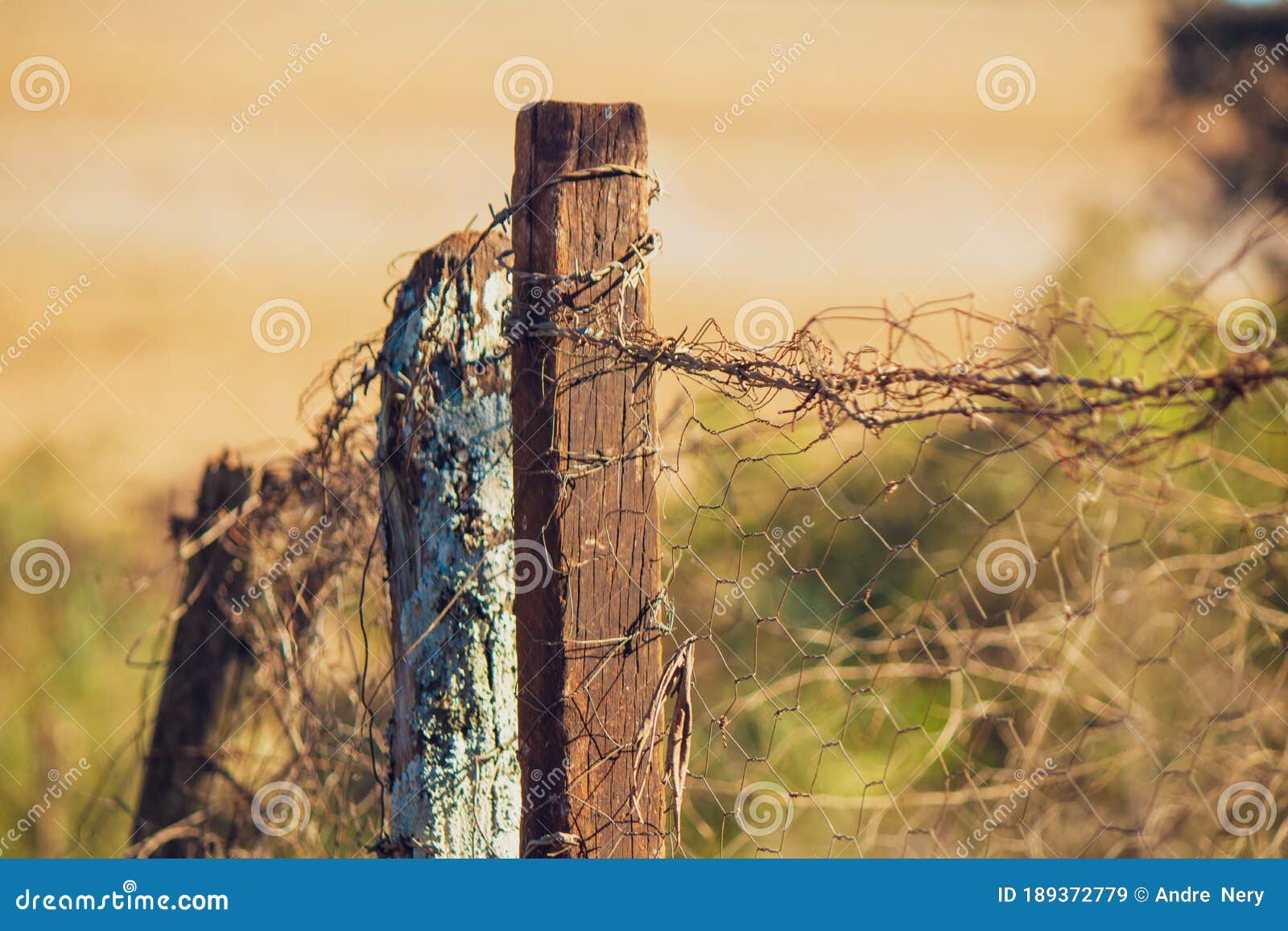 Fence Old Wood on Farm with Tractor Background Stock Image - Image of ...