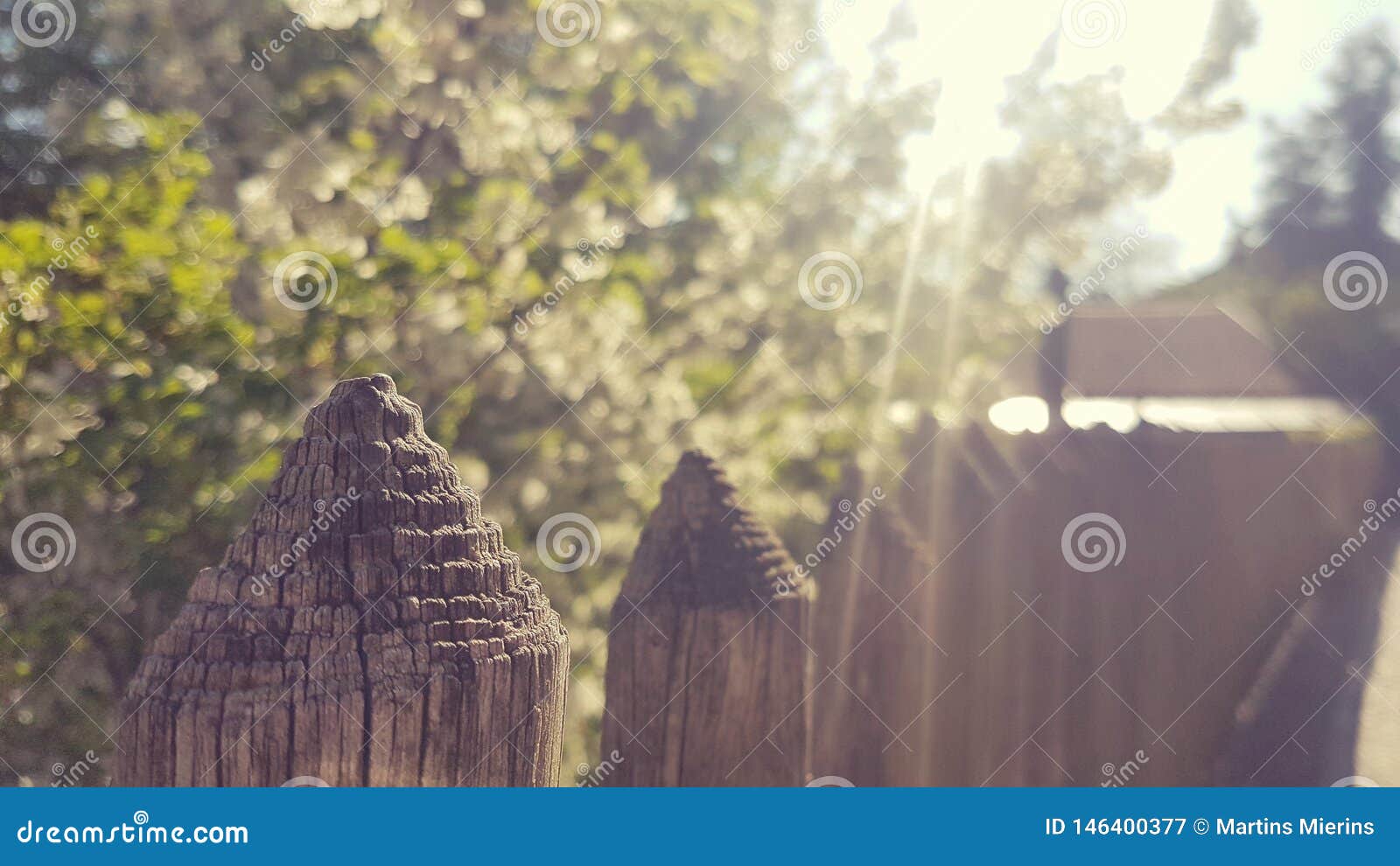 Fence in summer stock image. Image of sunshine, cozy - 146400377