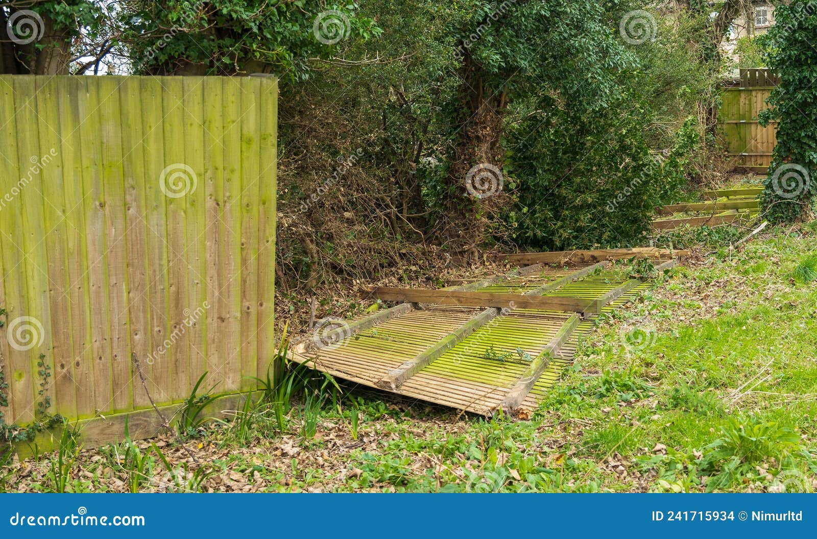 Fence Panels Blown Over by Excessive Wind during a Storm Stock Photo ...