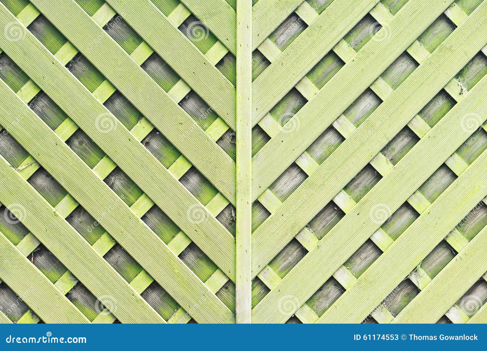 Fence stock image. Image of green, lattice, grain, boarding - 61174553